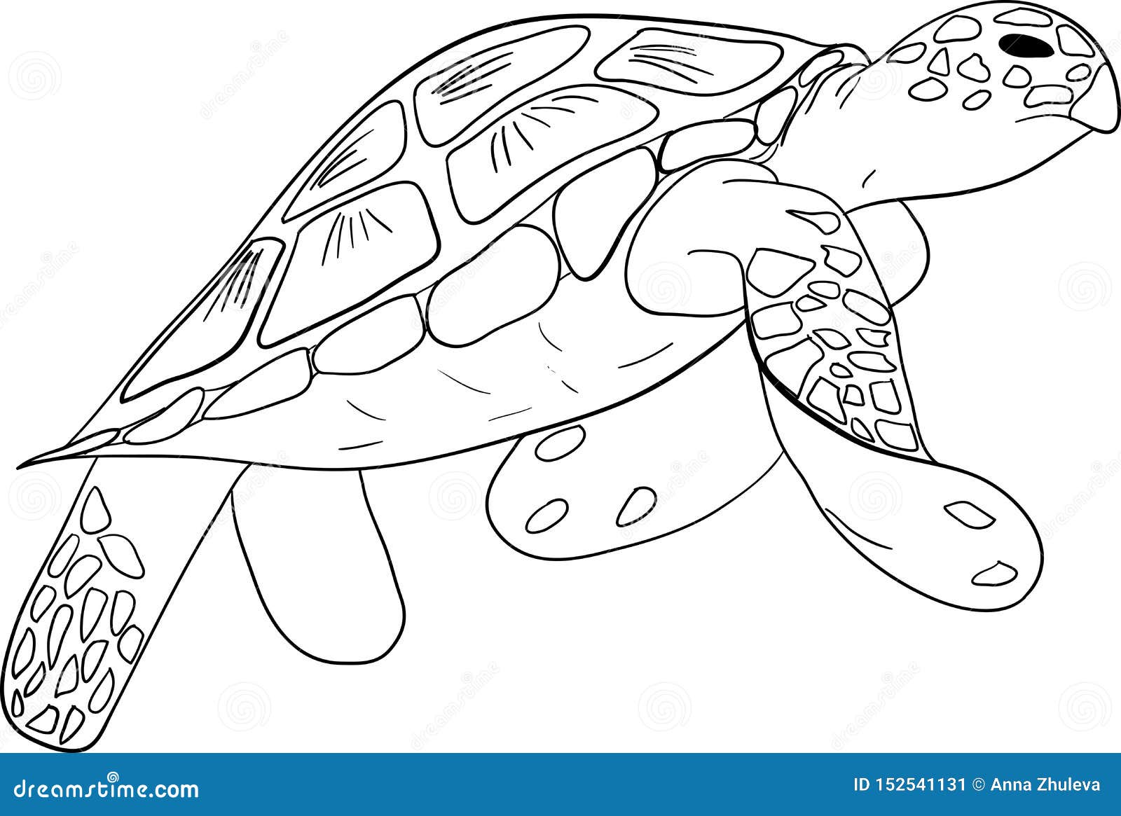 Vector Illustration. Contour Sea Turtle Isolated Background Stock ...