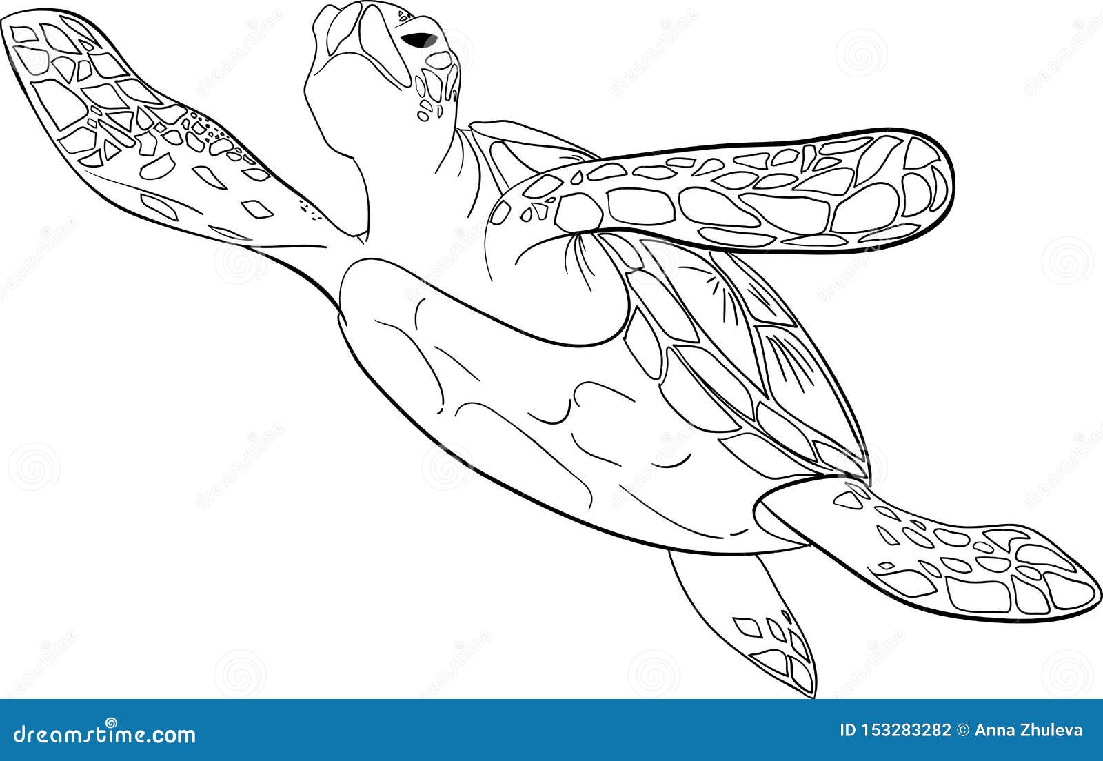 Vector Illustration. Contour Sea Turtle Isolated Background Stock ...