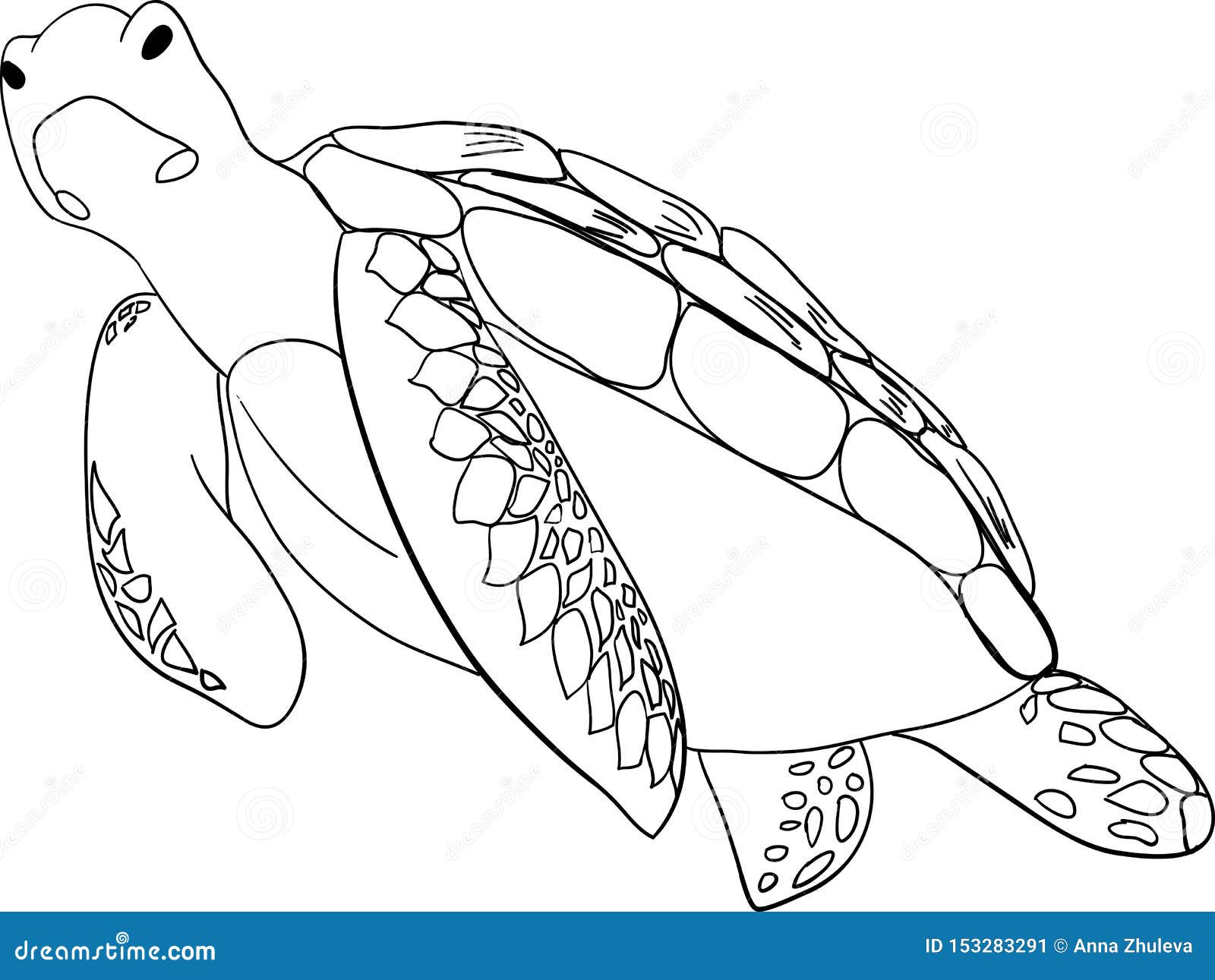 Contour Turtle - Coloring Page For Kids Vector Illustration ...
