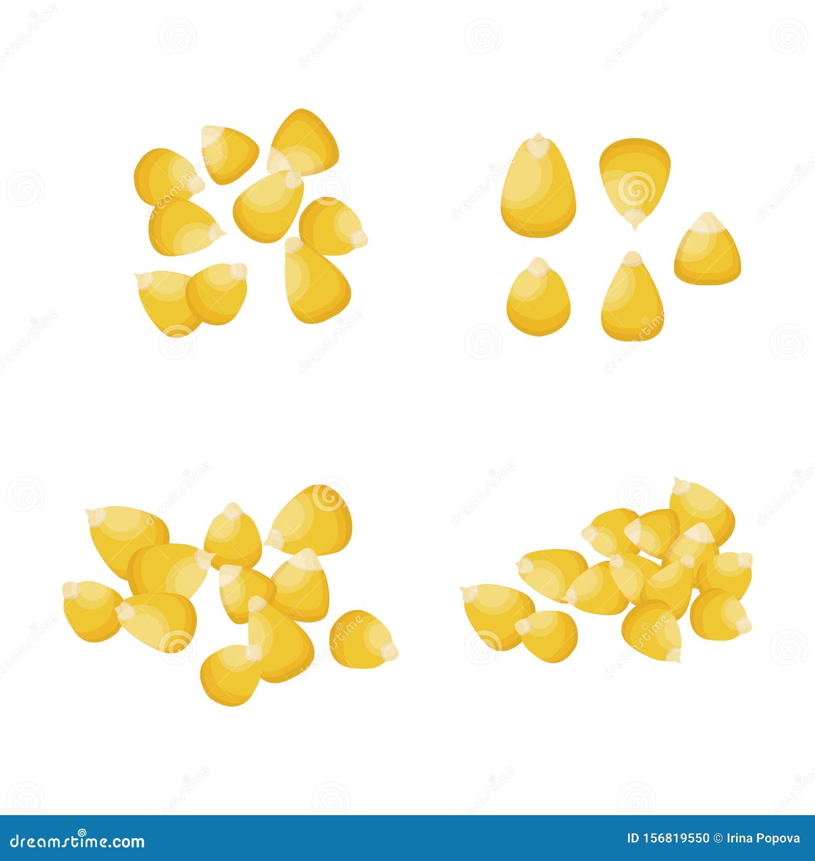 Corn Grains. Corn Seeds. Isolated on White Background. Vector ...