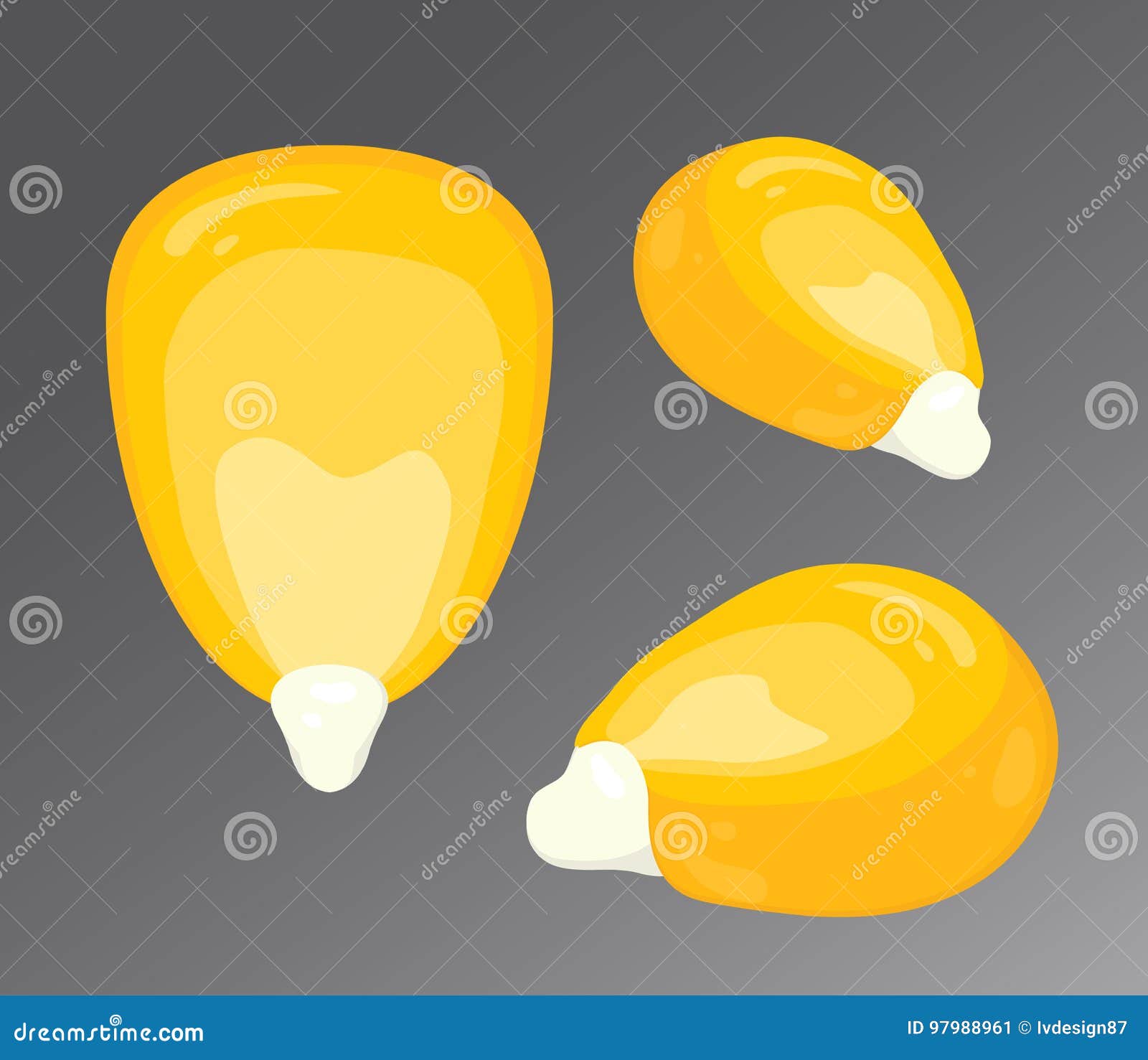 Vector Illustration of Corn Kernel Isolated on Gray Background. Set of ...
