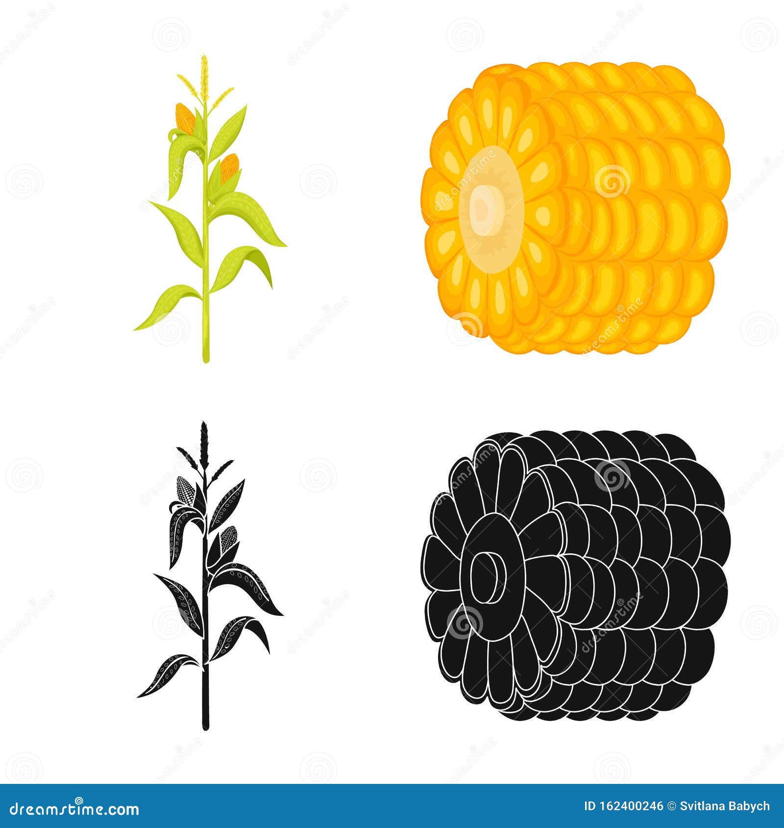 Vector Design of Cornfield and Vegetable Logo. Collection of Cornfield ...