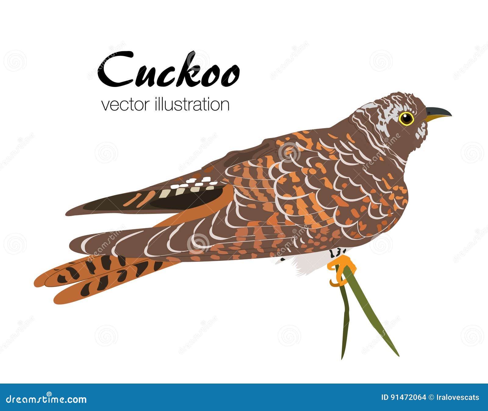 Illustration Of Old Cuckoo Clock Cartoon Vector | CartoonDealer.com ...