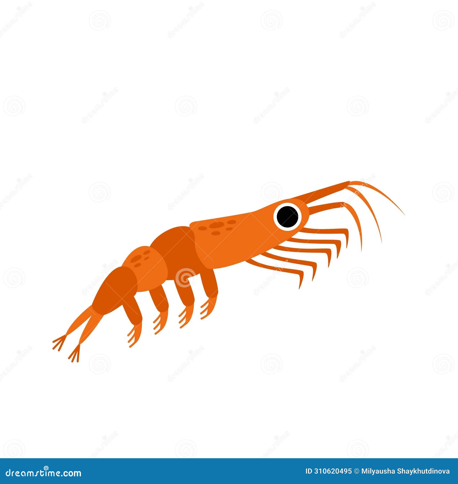 Vector Illustration Of Cute Antarctic Krill Isolated On White ...