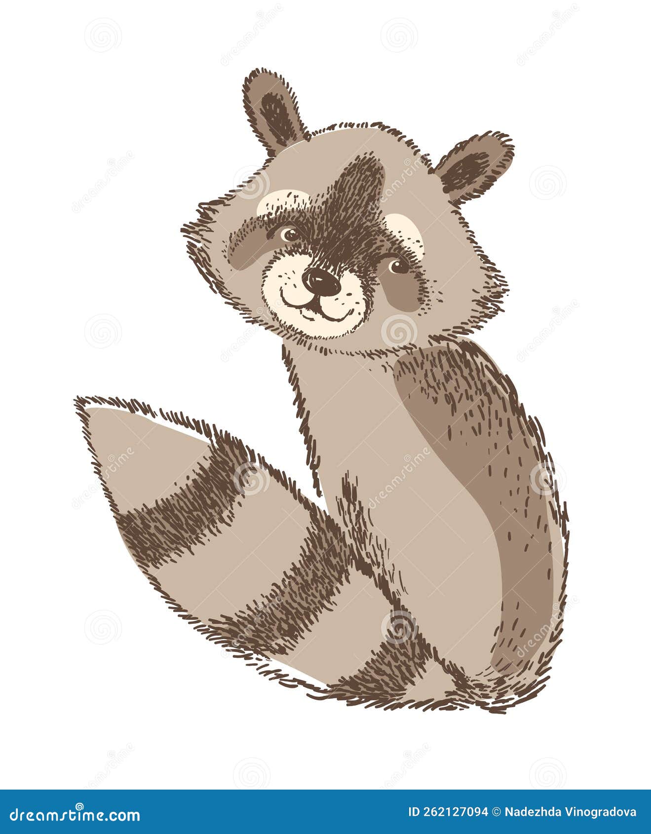 Vector Illustration of Cute Raccoon. Isolated Element. Stock Vector ...