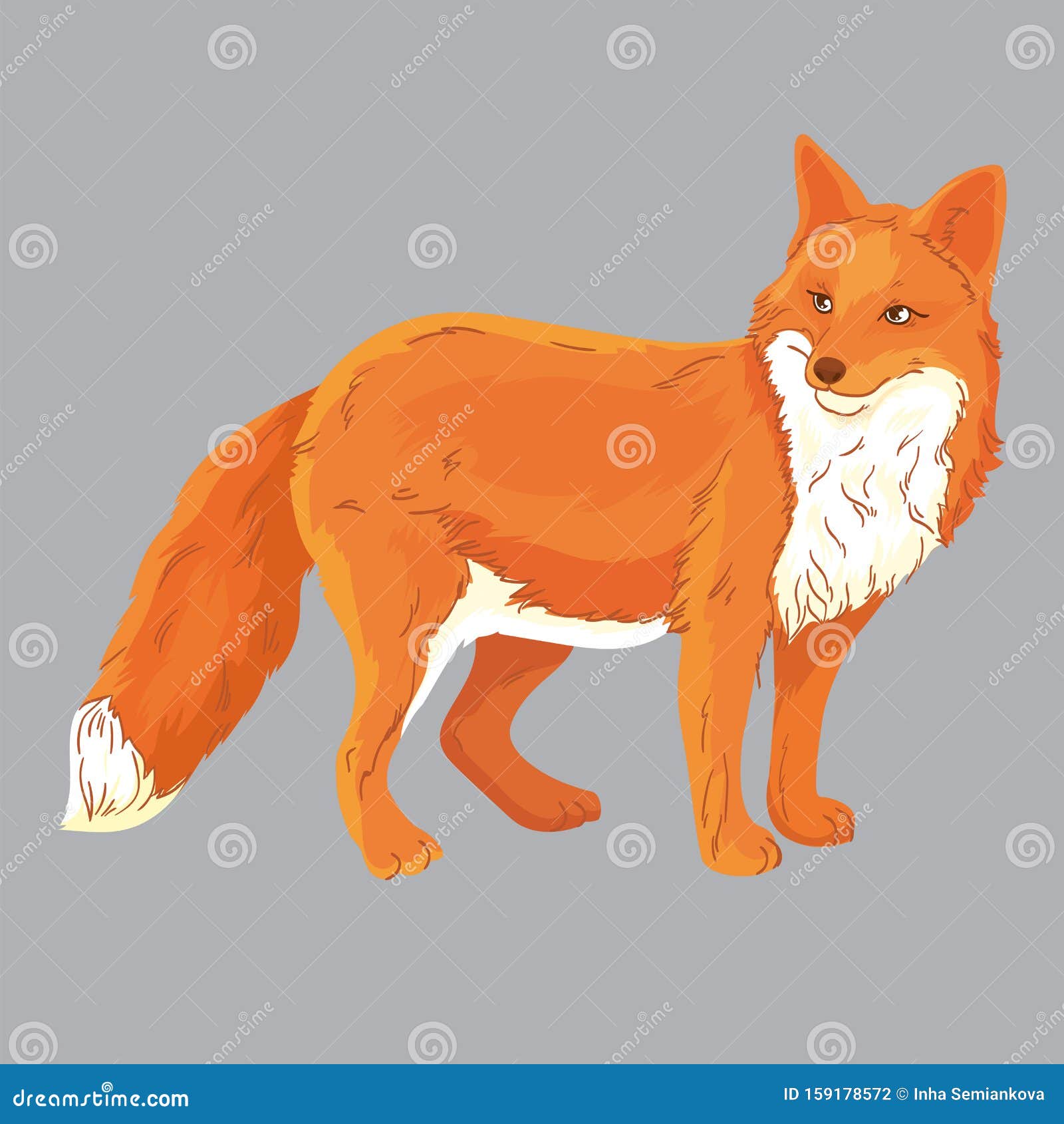 Vector Illustration of Cute Red Fox Isolated Stock Vector ...