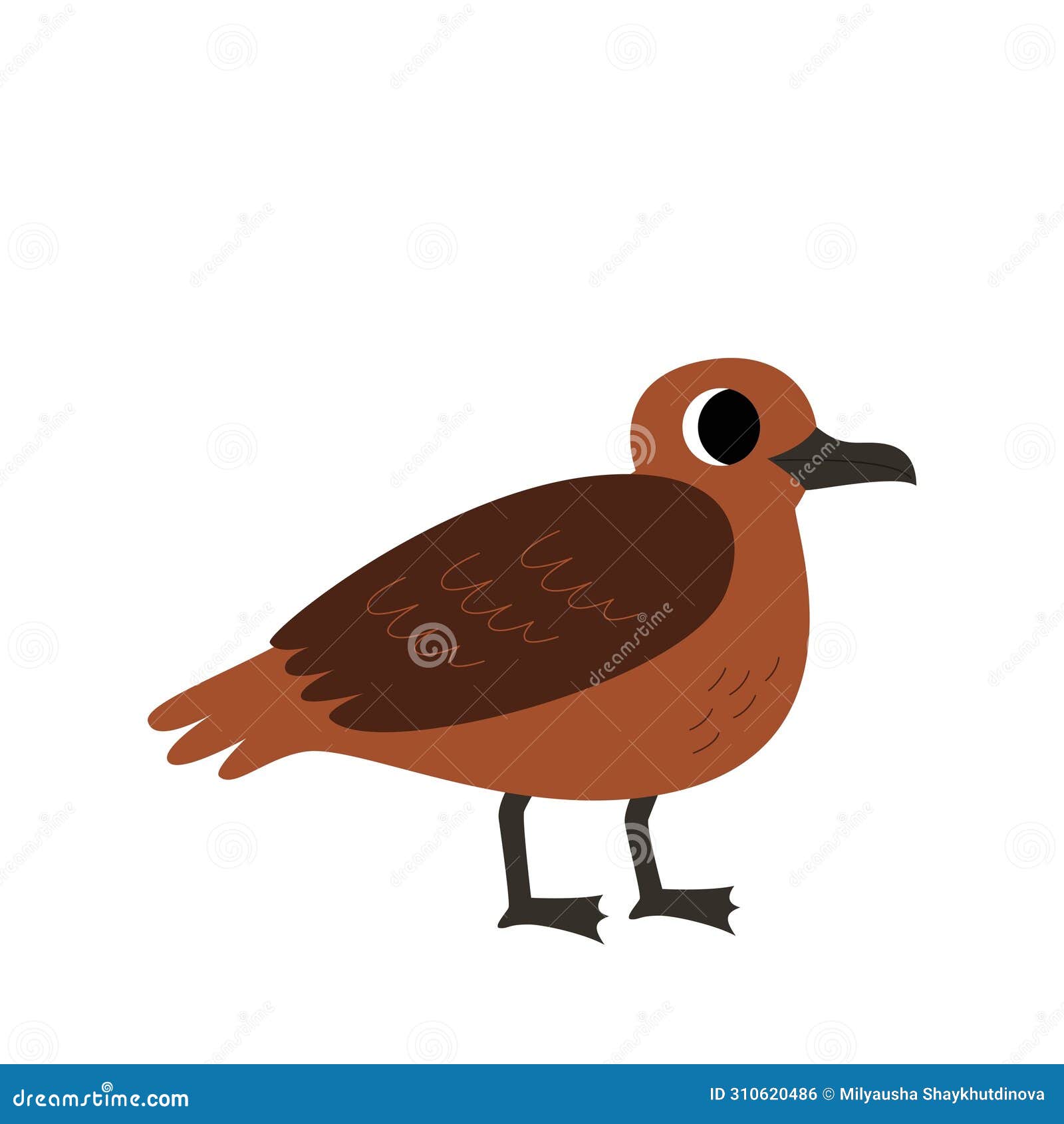 Skua Bird Is On The Snow. Vector Hand Drawn Cartoon Childish ...