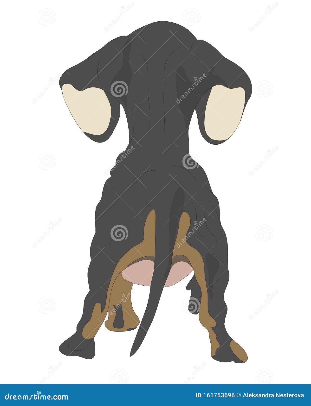 Dog Looking Back Drawing