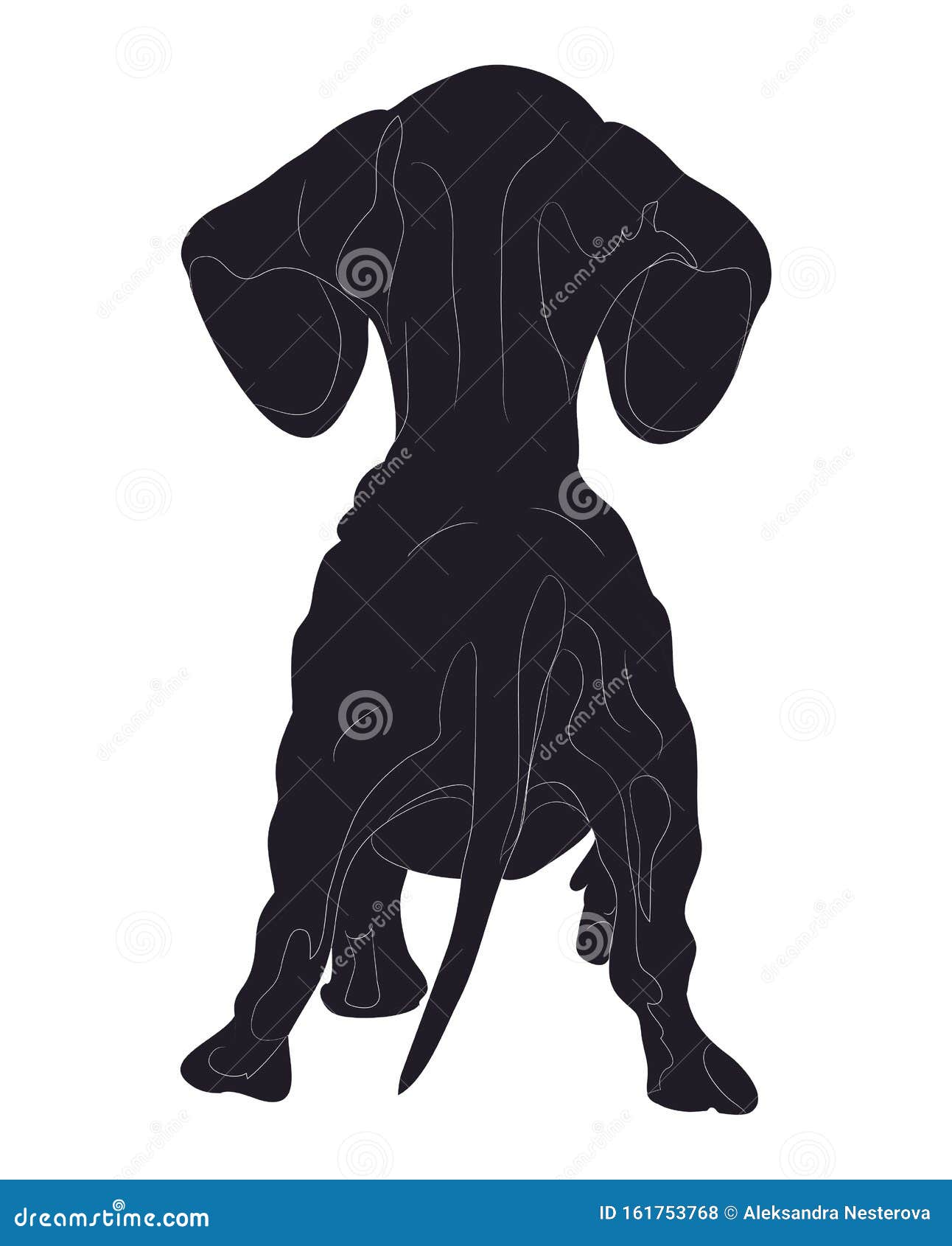 Dog Sitting Back Drawing