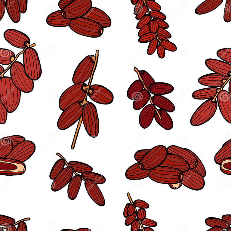 Vector Illustration of Dates Stock Vector - Illustration of dried ...