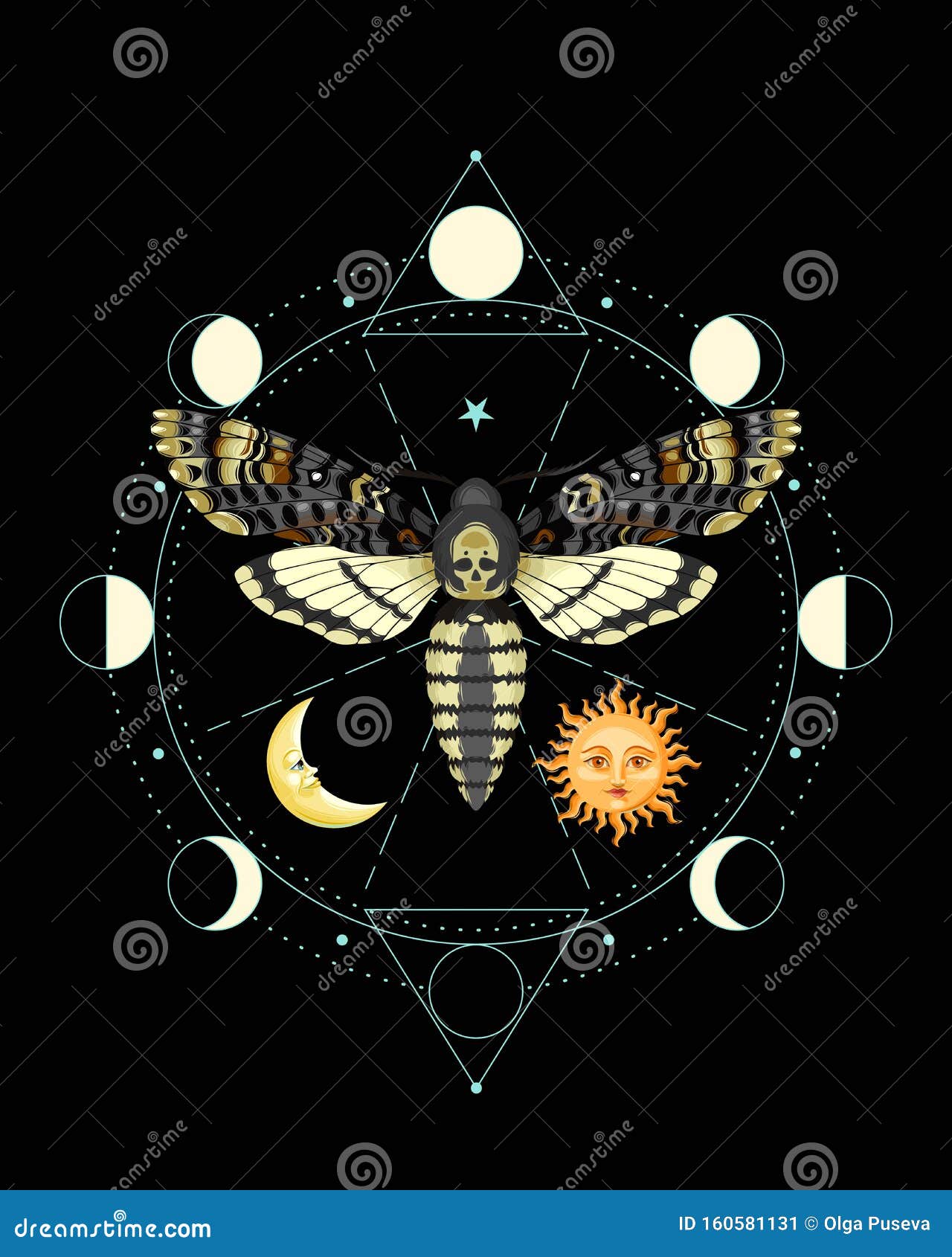 Death Head Hawkmoth On Full Moon Background. Halloween Skull Moth ...