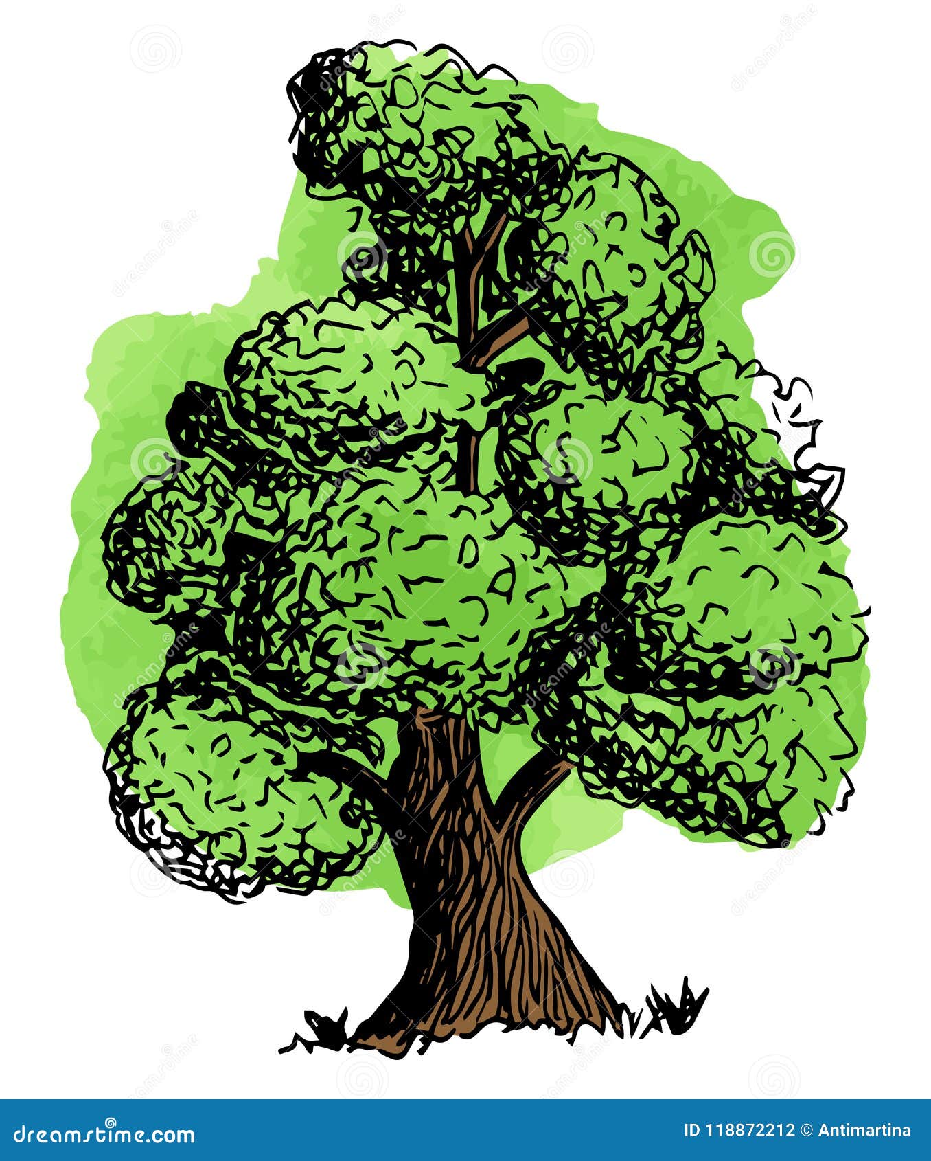 Deciduous Tree Sketched By Hand Stock Vector - Illustration of vector ...