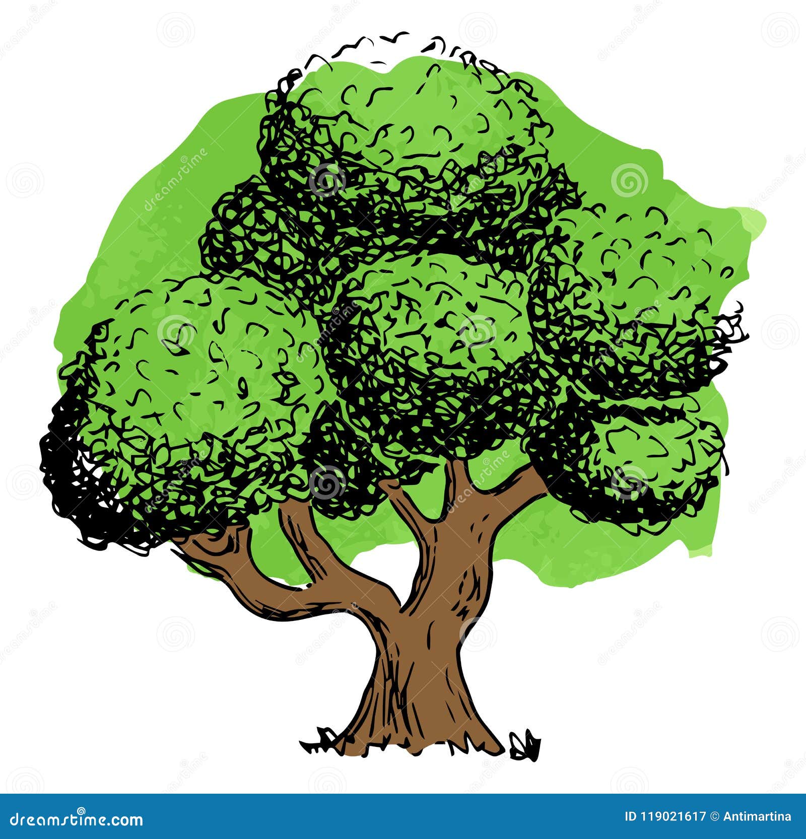 Deciduous Tree Sketched by Hand Stock Vector - Illustration of foliage ...