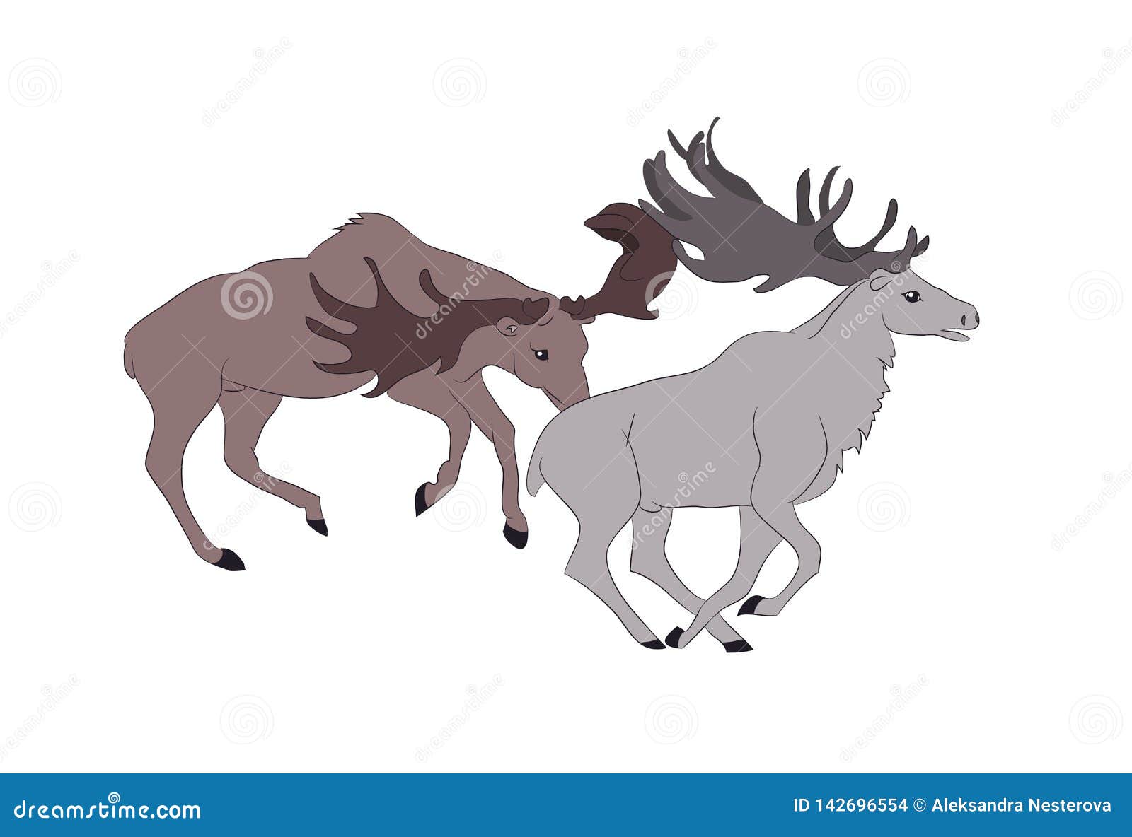 Bucks Fighting Drawing