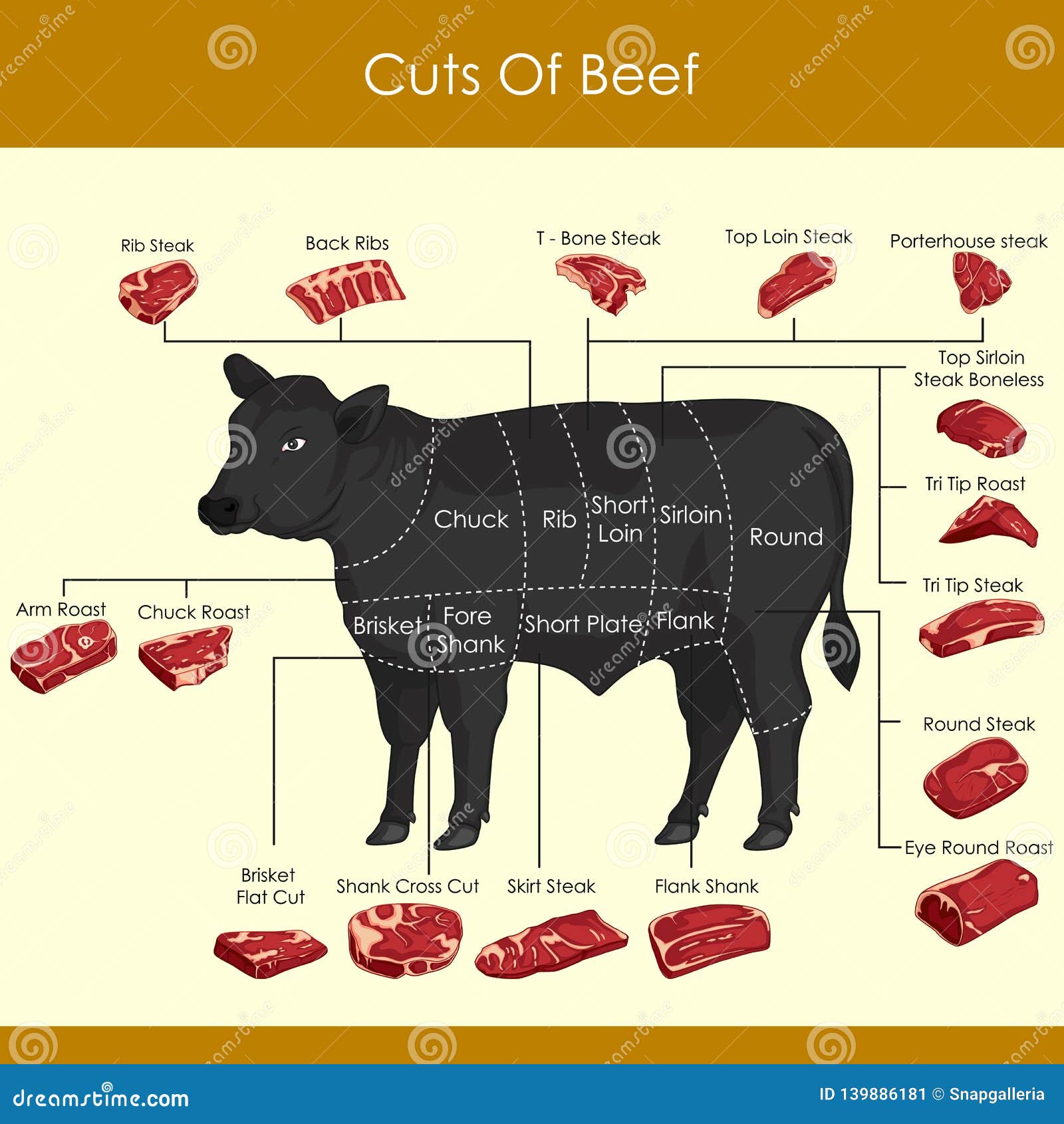 Vector Illustration of Different Cuts of Beef Stock Vector ... Vector Illustration of Different Cuts of Beef Stock Vector ...