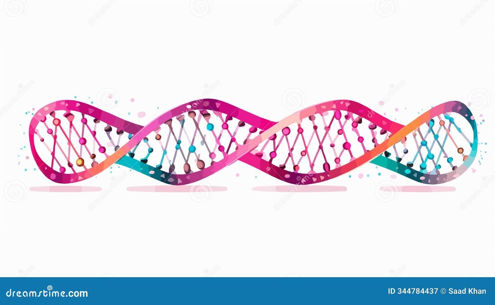 Structure Of Cartoon Fruiting Body Of Fly Agaric Vector Illustration ...