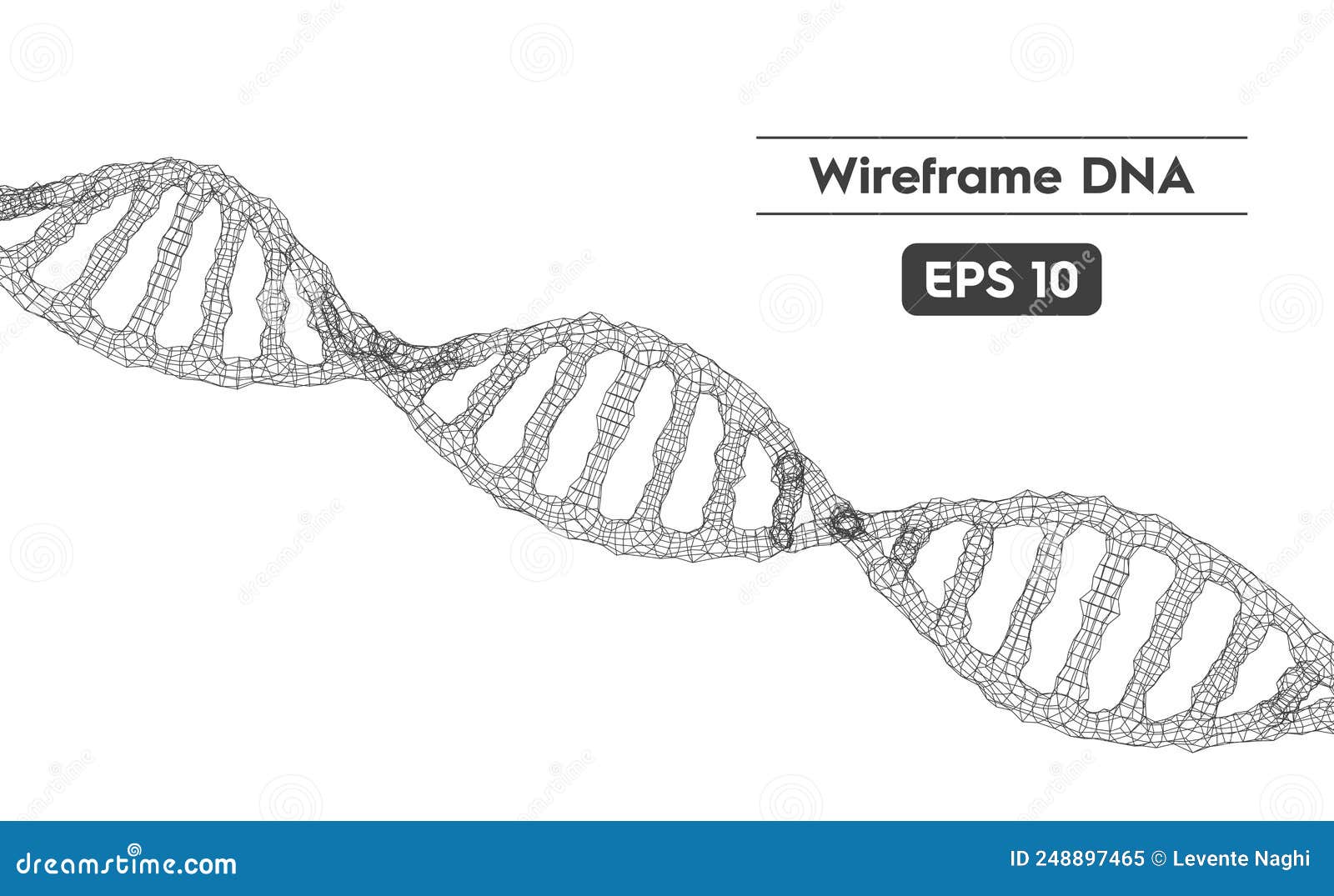 Vector Illustration of the DNA Structure Stock Vector - Illustration of ...
