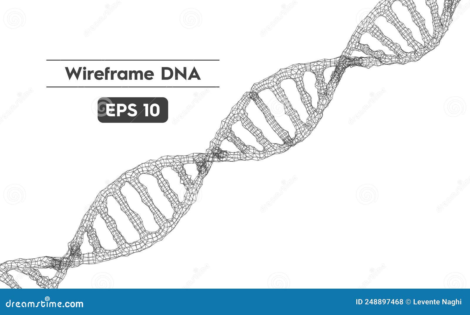 Vector Illustration of the DNA Structure Stock Vector - Illustration of ...