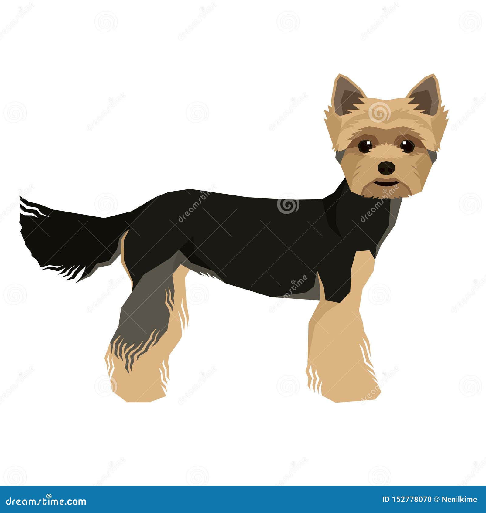 Vector Illustration Dog Collection Yorkshire Terrier Geometric Style ...