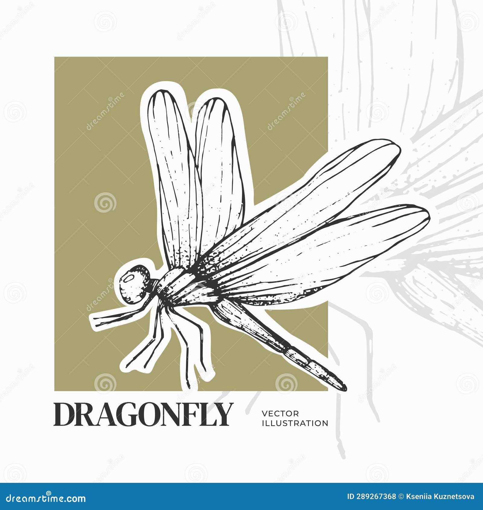 Vector Illustration of a Dragonfly in Engraving Style. Flying Insect ...