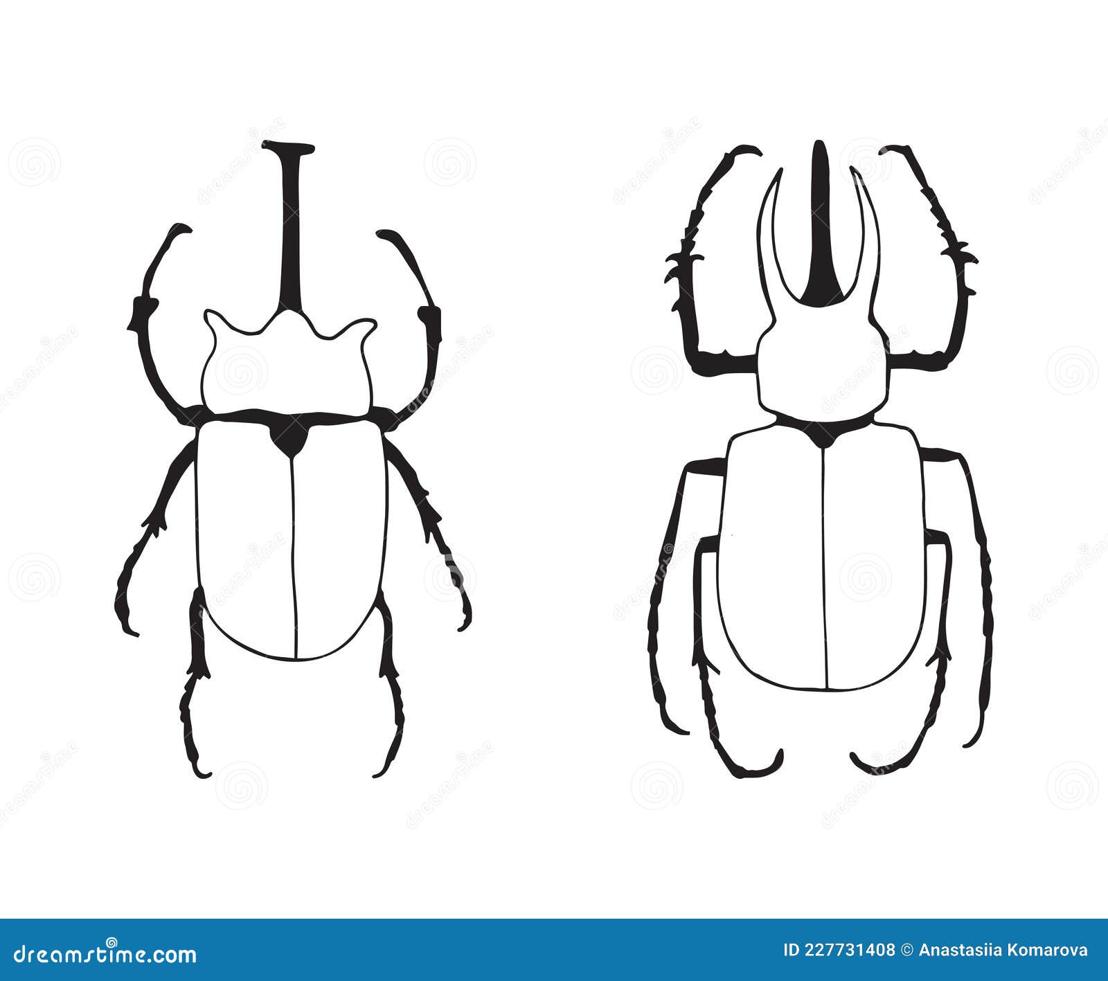 Vector Illustration. Drawing of Bugs Stock Vector - Illustration of ...