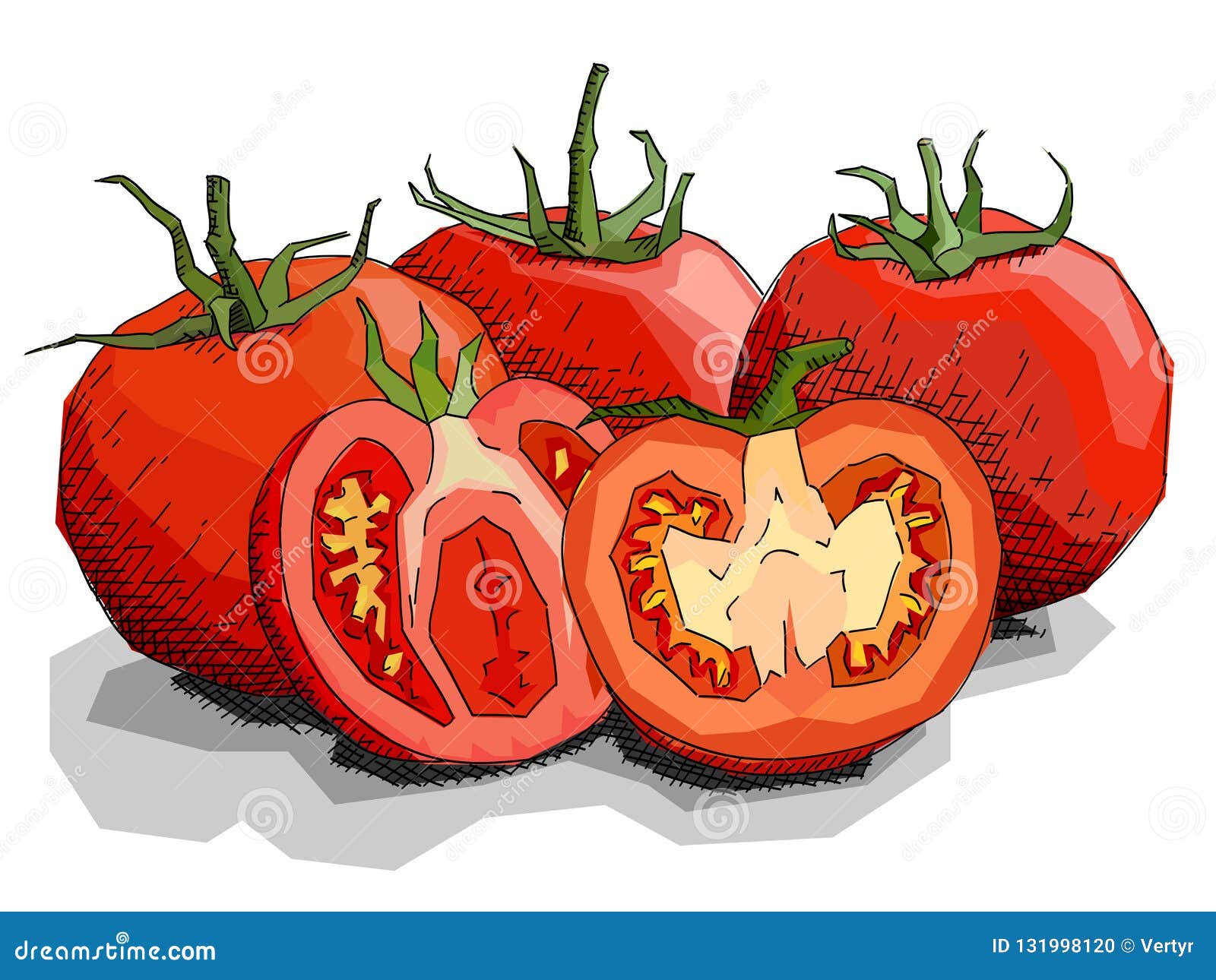Vector Illustration of Drawing Vegetable Tomatoes Stock Vector ...