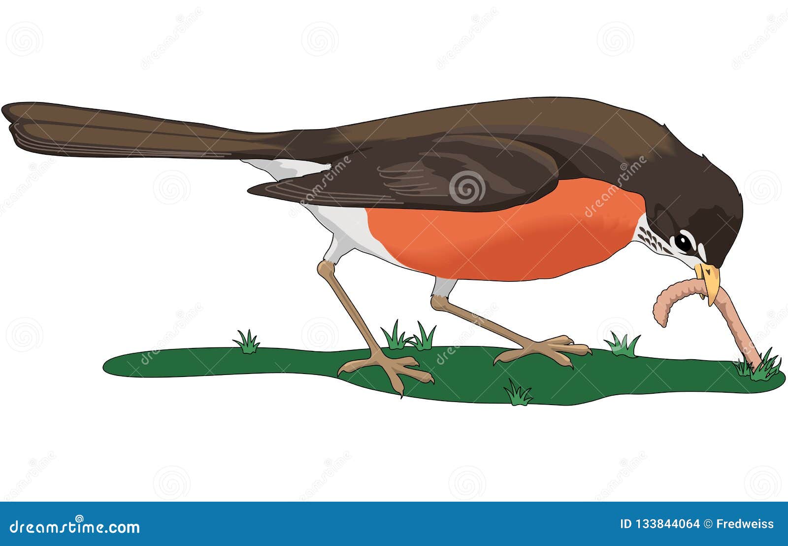 Early Bird Gets the Worm Illustration Stock Vector - Illustration of ... Early Bird Gets the Worm Illustration Stock Vector - Illustration of ...