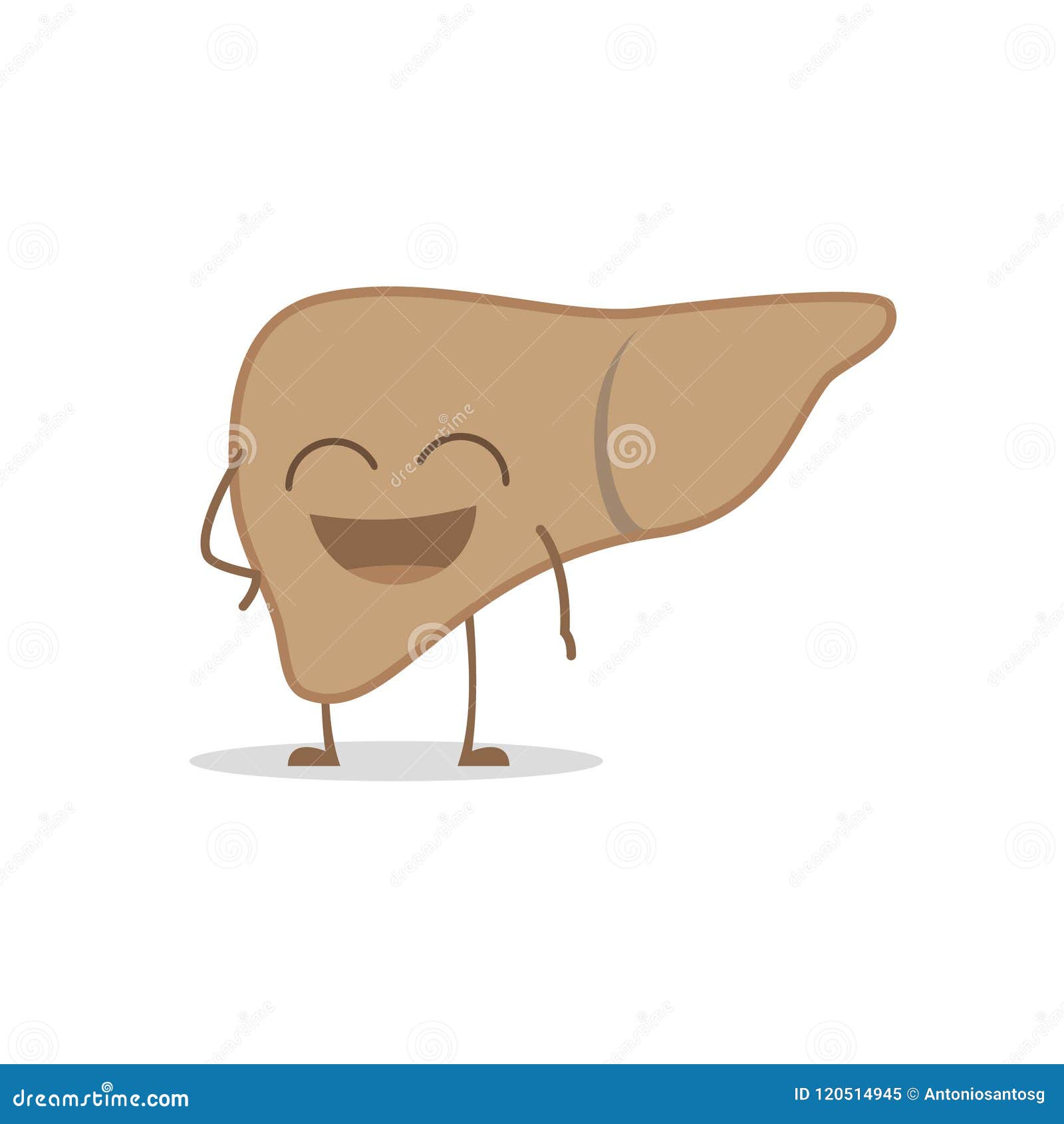 Vector Illustration Einer Gesunden Und Lustigen Leber Vektor Abbildung ...