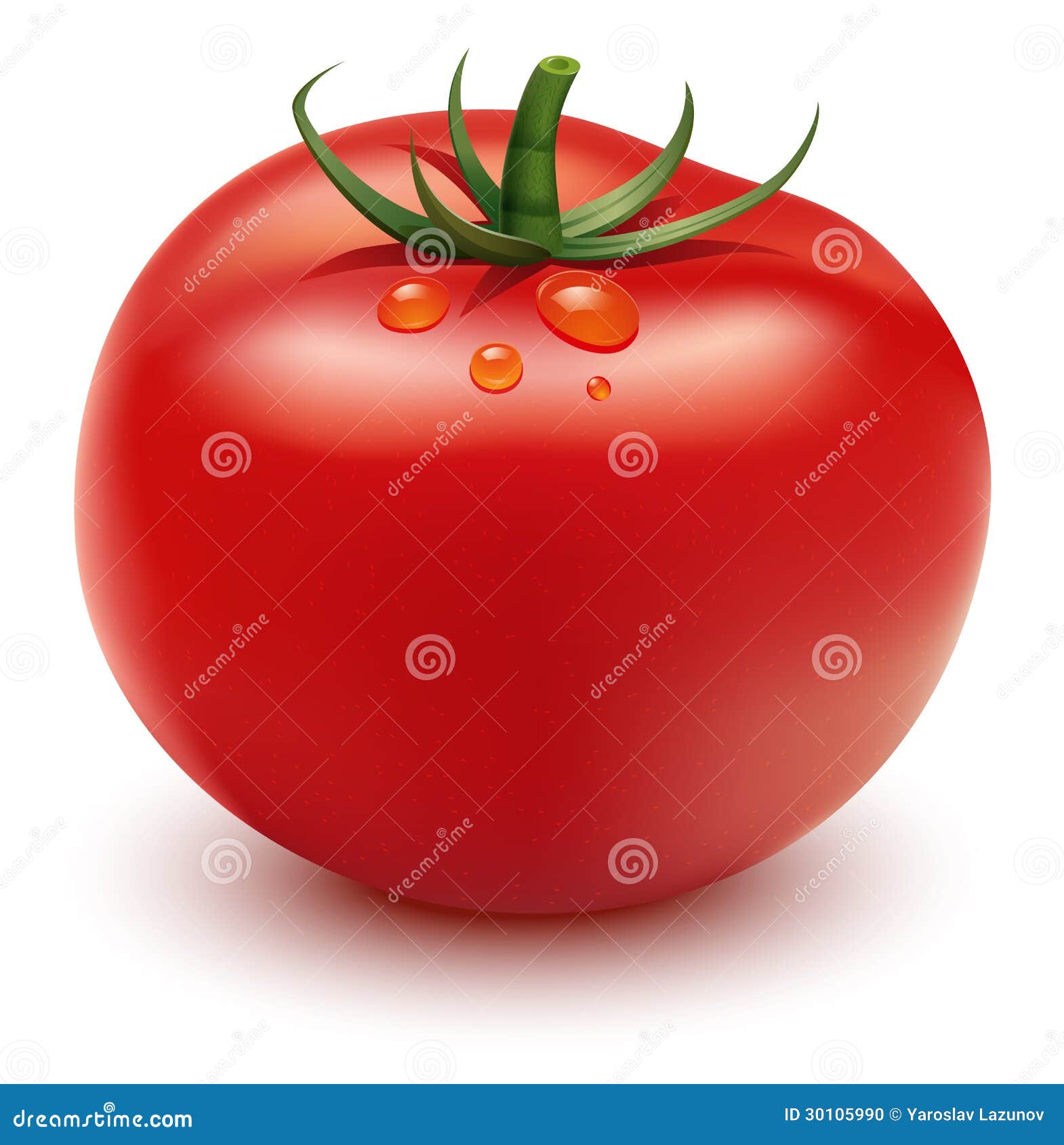 Red Tomato stock vector. Illustration of nature, growth - 30105990