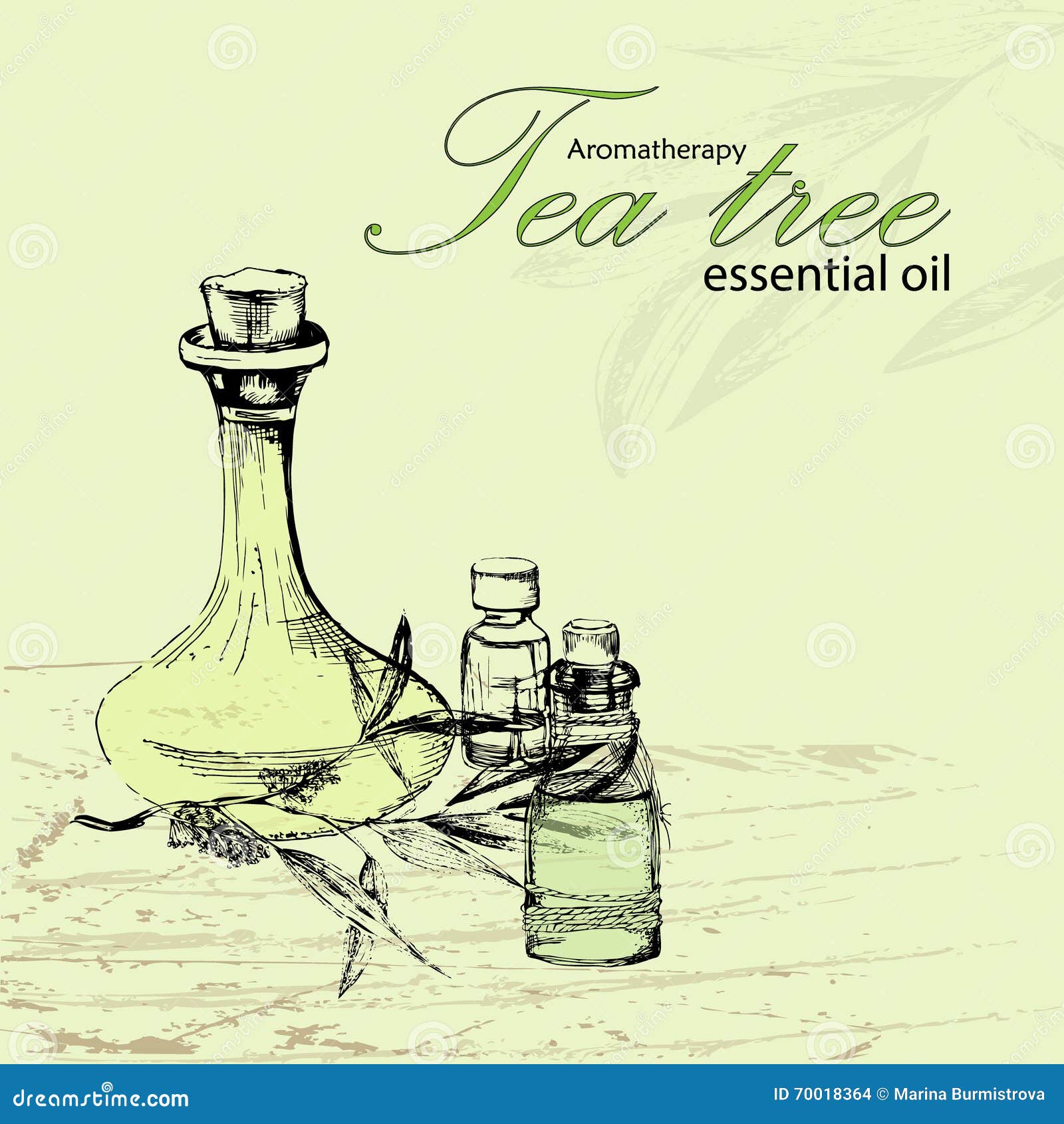 Vector Illustration of Essential Oil of Tea Tree Stock Vector ...
