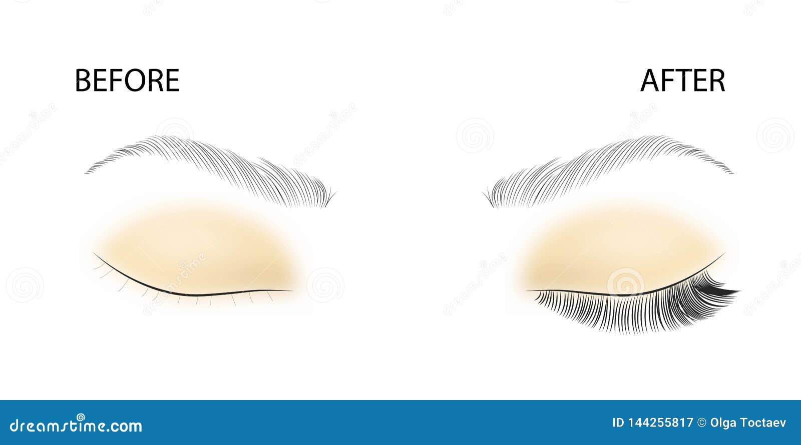 Vector Illustration of Eyelash Extensions. Illustration of Eyelash ...