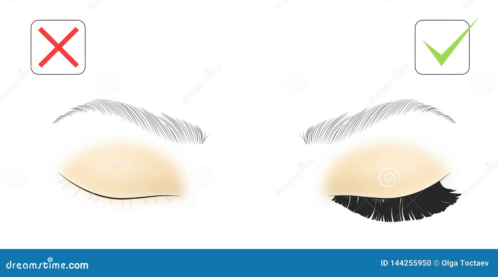 Vector Illustration of Eyelash Extensions. Illustration of Eyelash ...