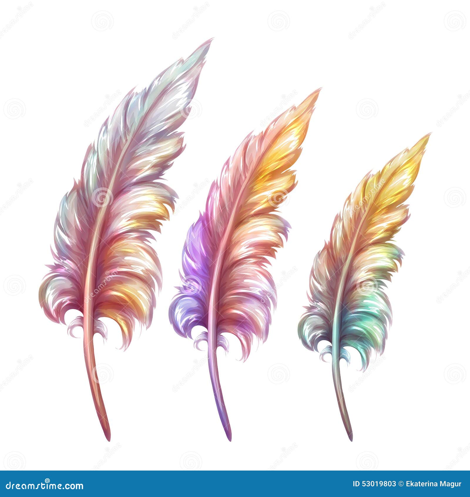Vector Illustration of Feather in Three Colors Stock Vector ...