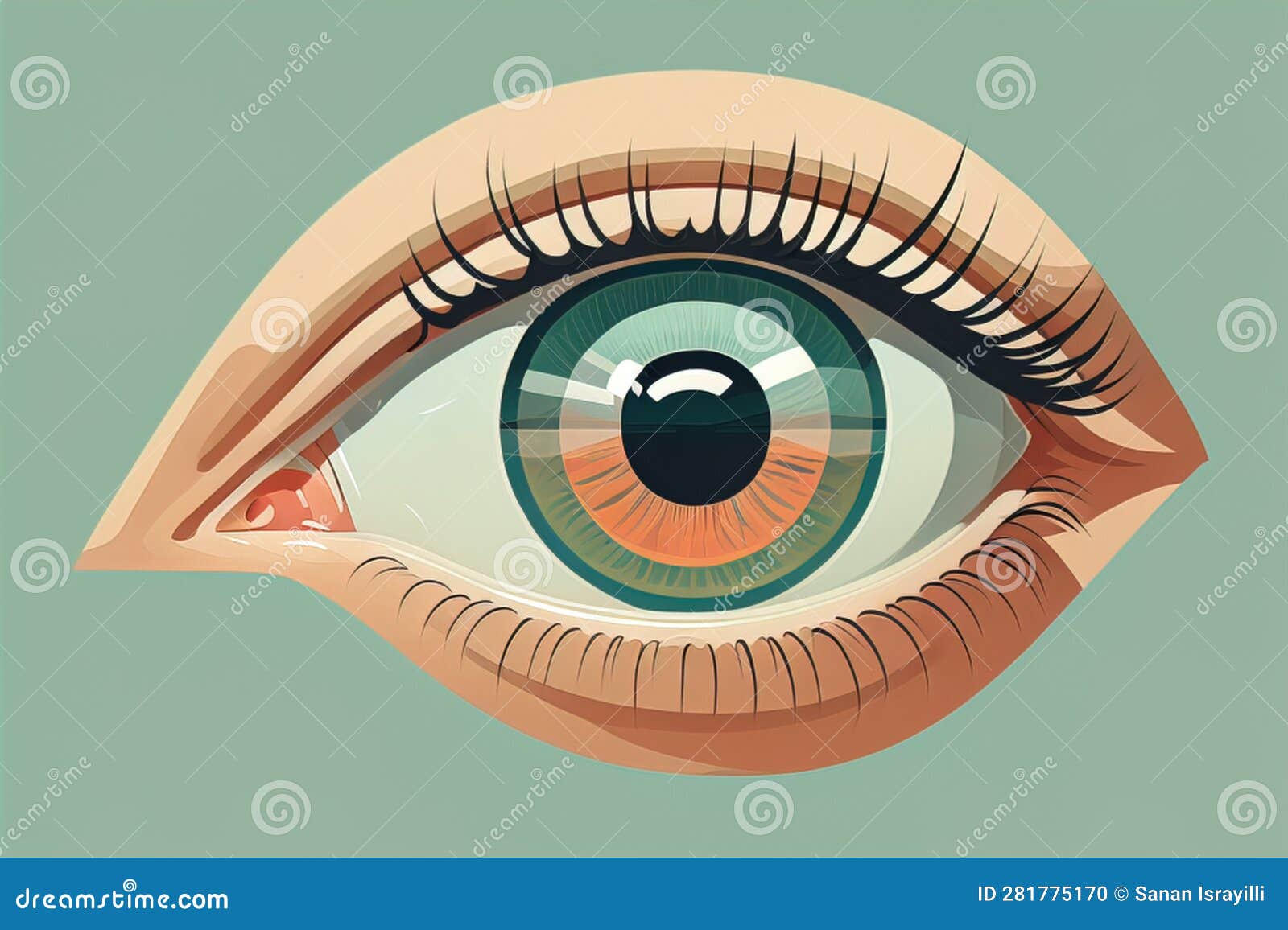 Vector Illustration of a Female Eye with Beautiful Iris Close Up ...