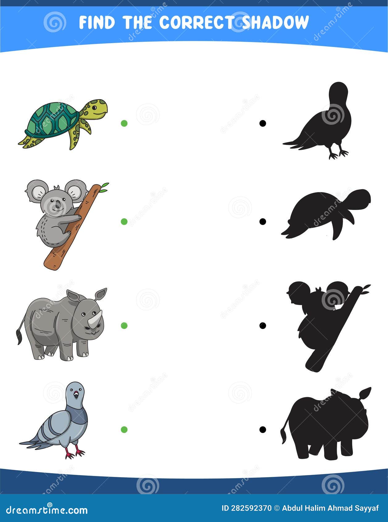 Vector Illustration Finding the Correct Shadow Wild Animals Turtle ...