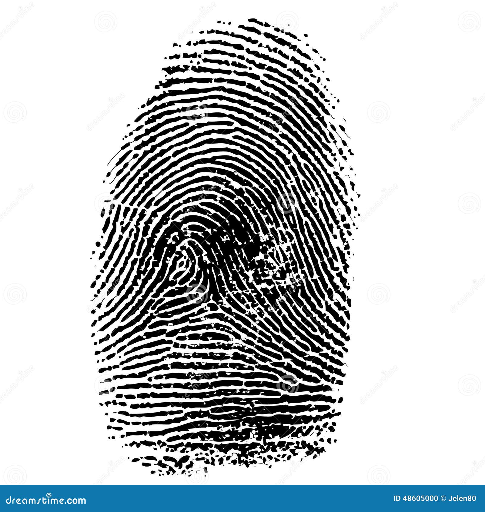 Vector Illustration of Fingerprint Stock Vector - Illustration of print ...