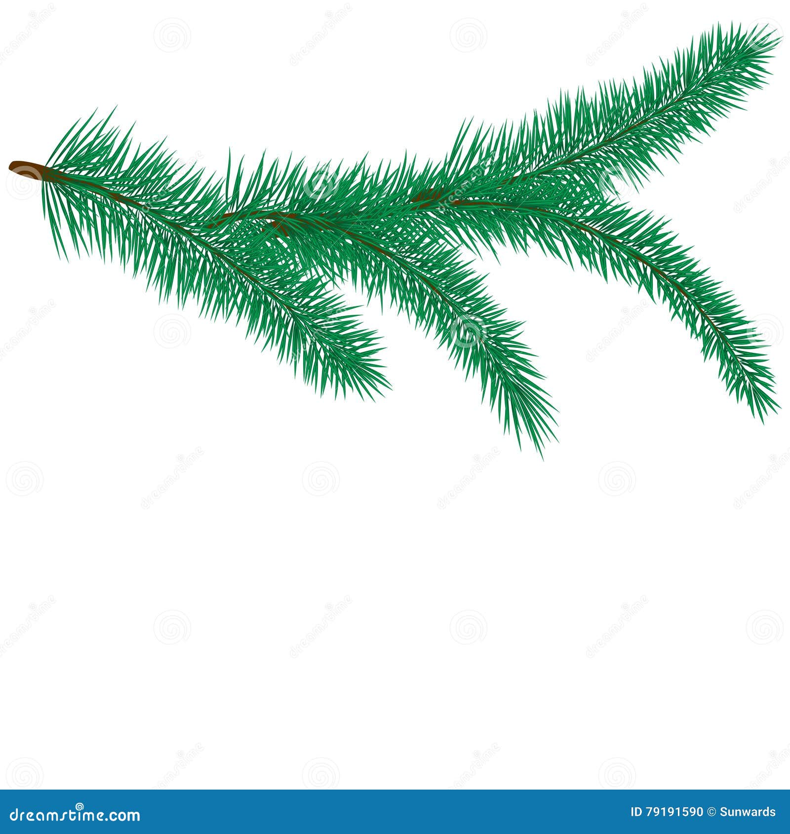 Vector Illustration of Fir Branch Stock Vector - Illustration of vector ...