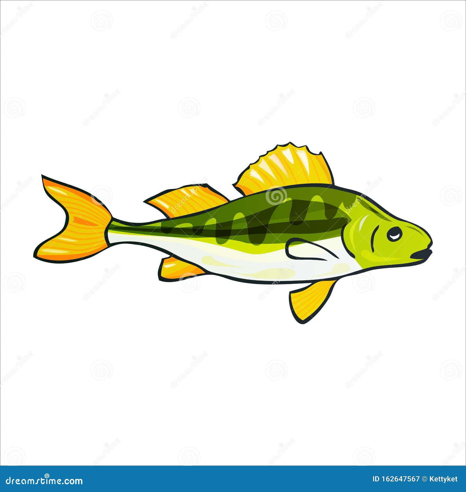 Vector Illustration of Fishes. Yellow Perch Stock Vector - Illustration ...