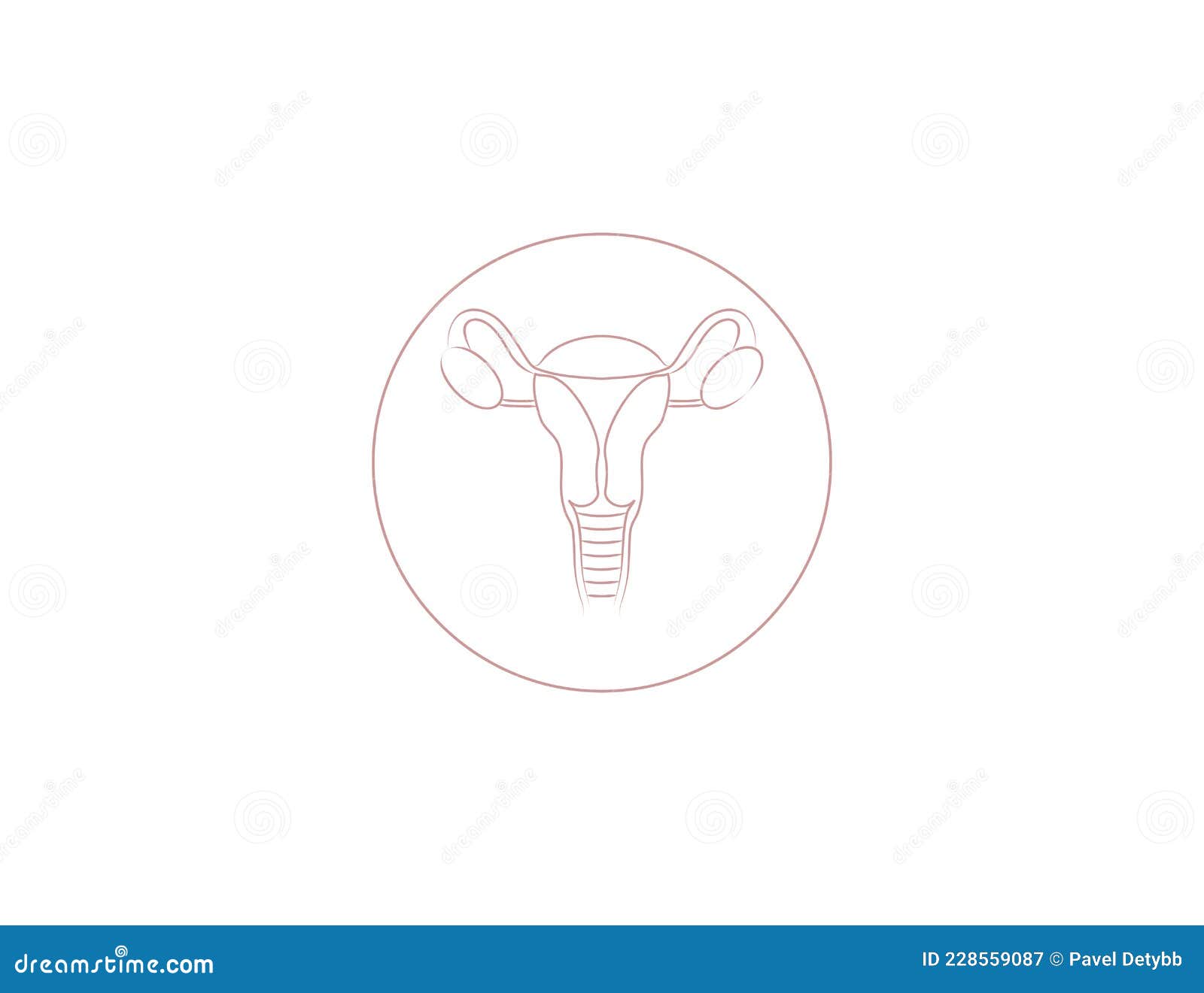 Female, Uterus, Womb Icon. Vector Illustration. Flat Design Stock ...