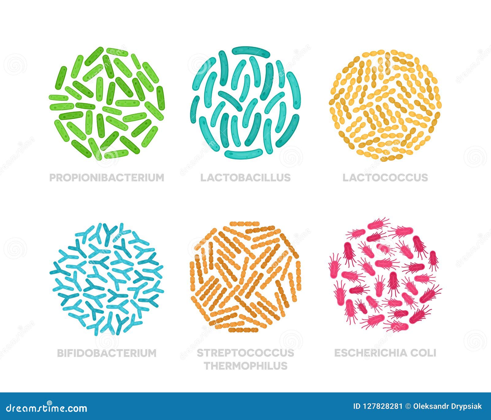 Set Of Probiotic Bacteria In A Circle Good Microorganisms Colorful