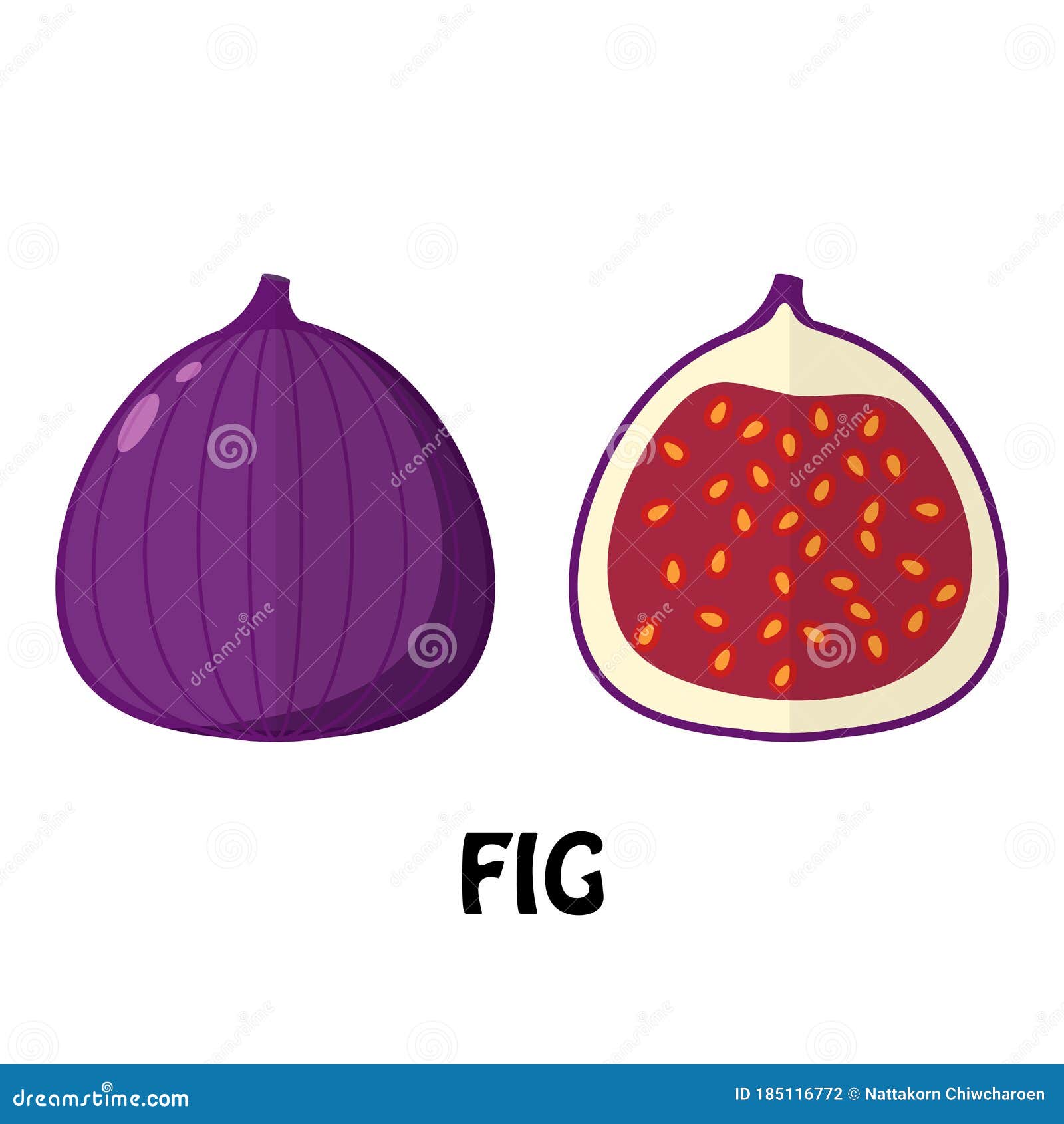 Vector Illustration Flat Fig Isolated on White Background , Minimal ...