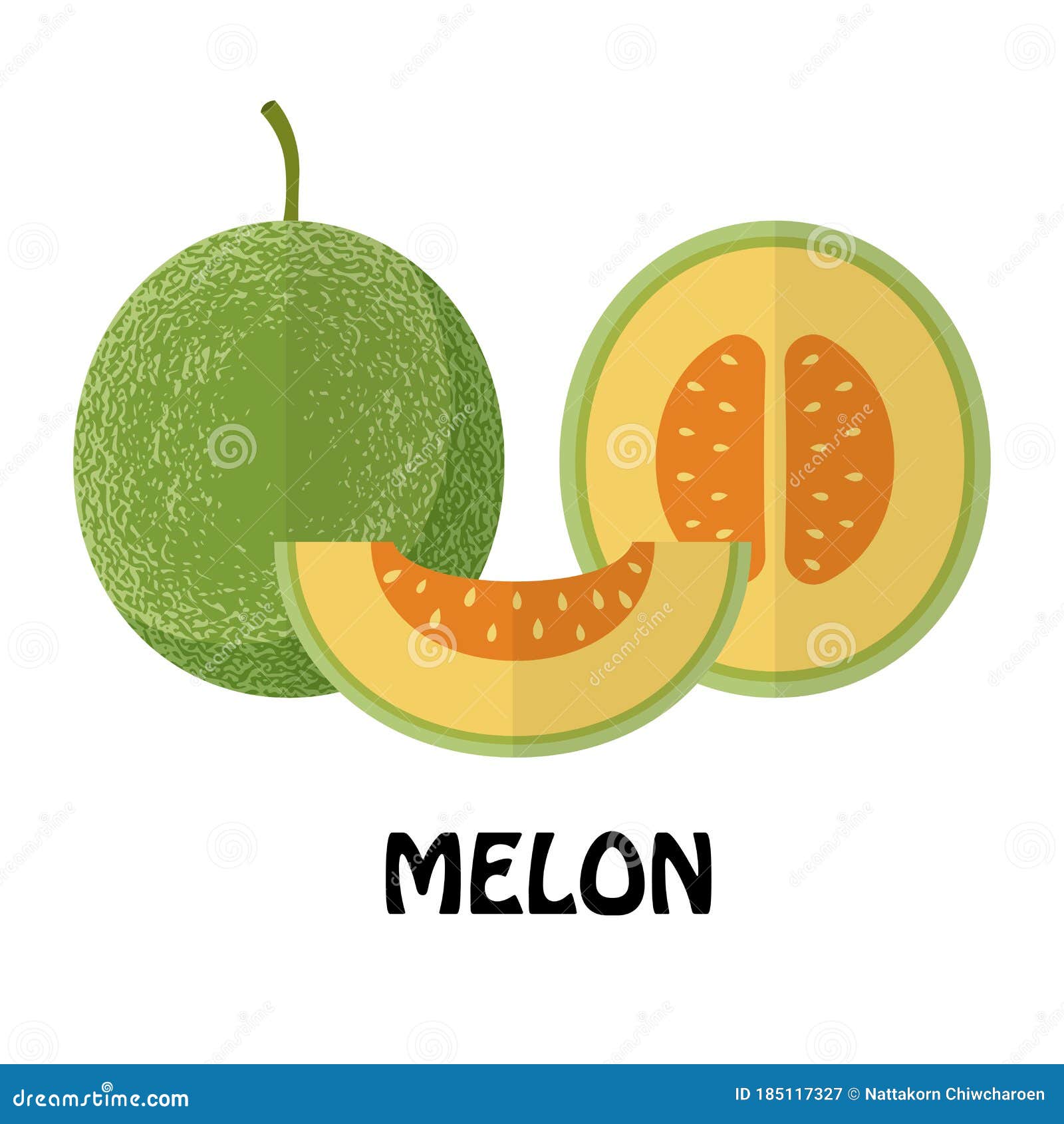 Vector Illustration Flat Melon Isolated on White Background , Minimal ...