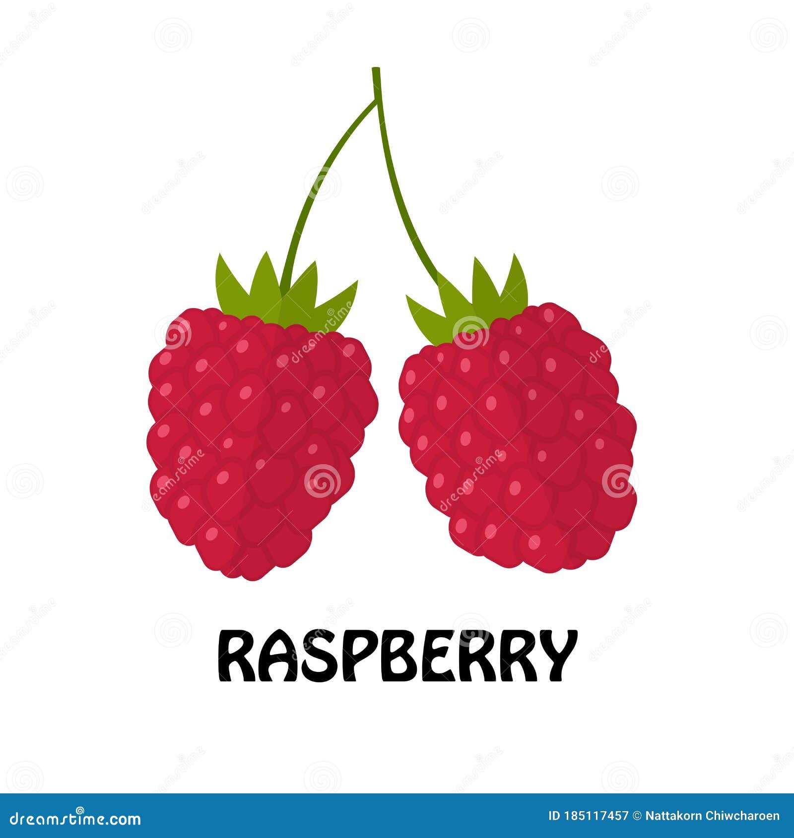 Vector Illustration Flat Raspberry Isolated on White Background ...