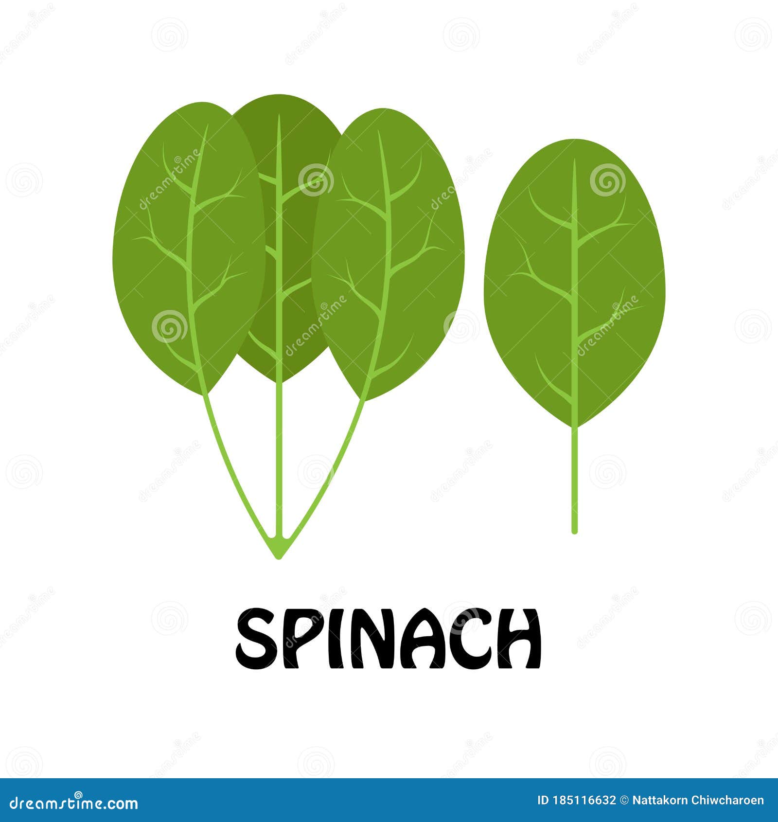 Flat Spinach Hand Drawn PNG Clip Art For Animated Green Leaves ...