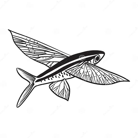 Vector Illustration of a Flying Fish Stock Vector - Illustration of ...