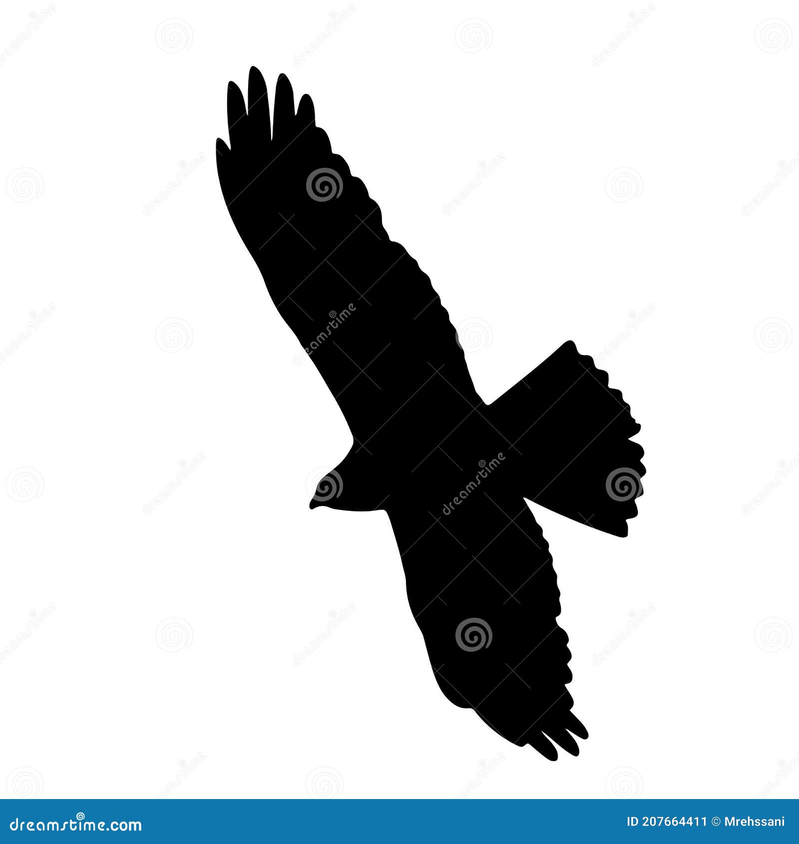 Vector Illustration Of Flying Marsh Harrier In The Sky Black And White ...