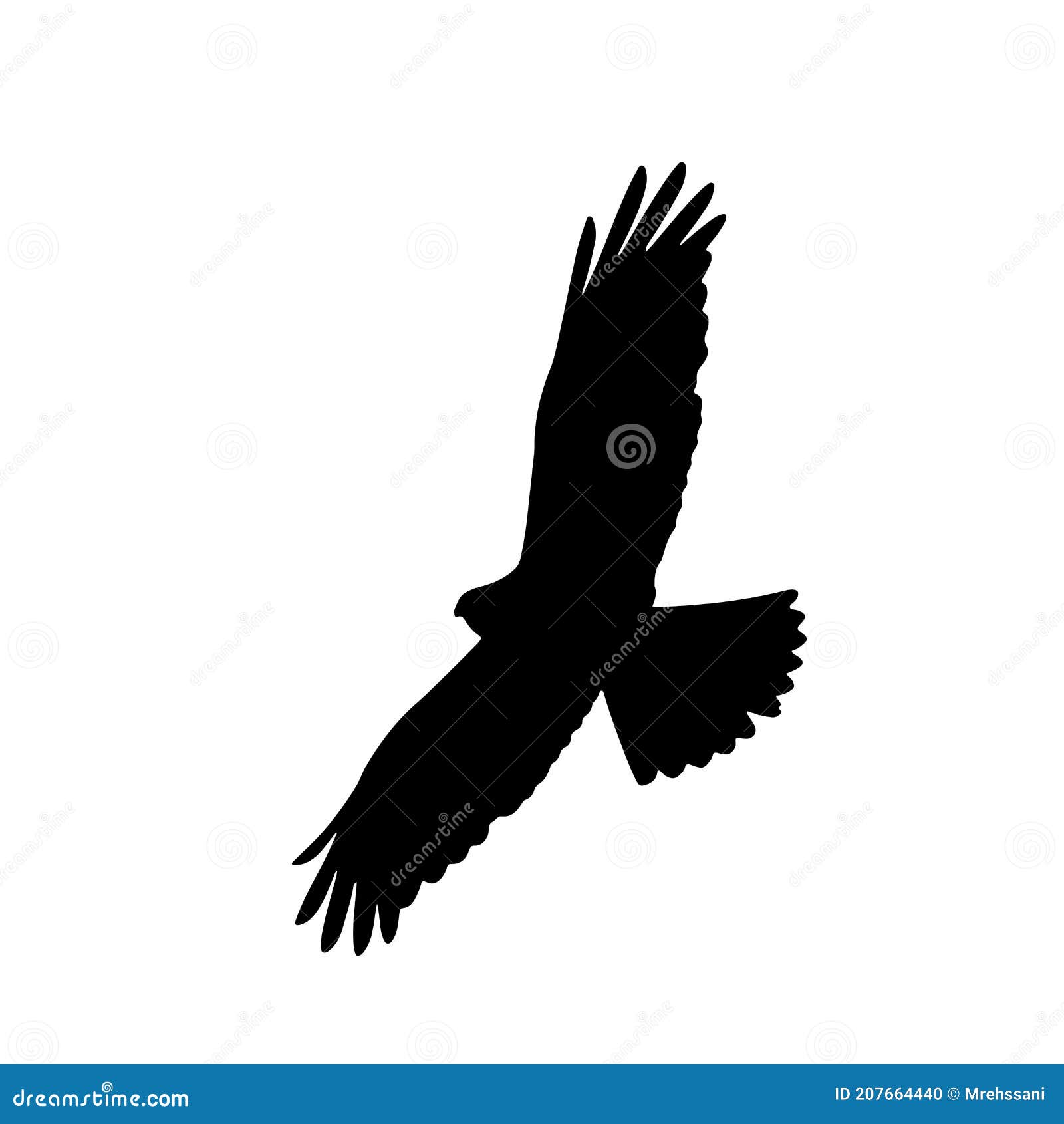 Marsh Harrier Flying Stock Illustrations – 279 Marsh Harrier Flying ...