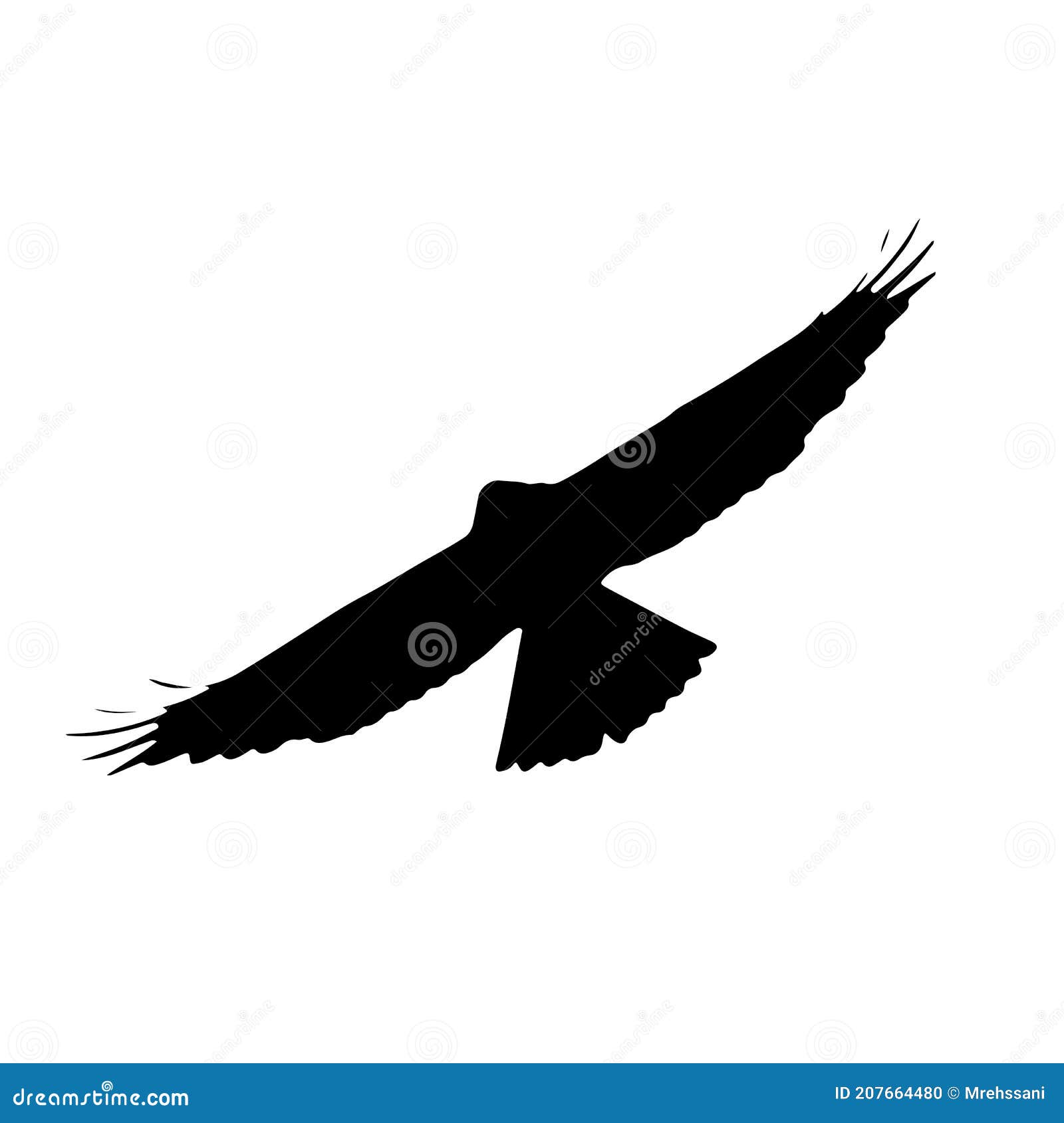 Hen Harrier Or Circus Cyaneus, Bird, Vintage Engraving Vector ...