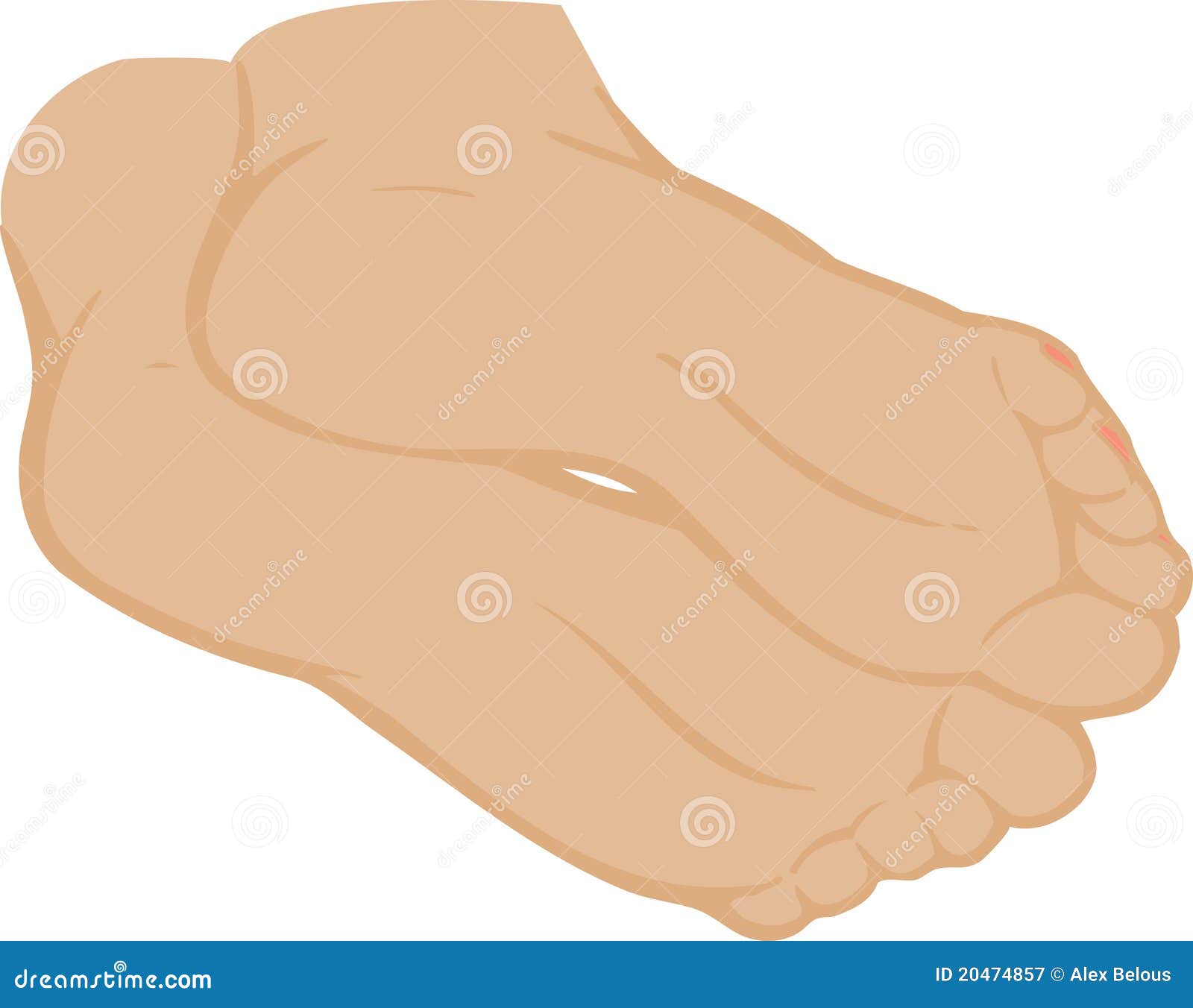 Vector Illustration of a Foot Stock Vector - Illustration of heels ...