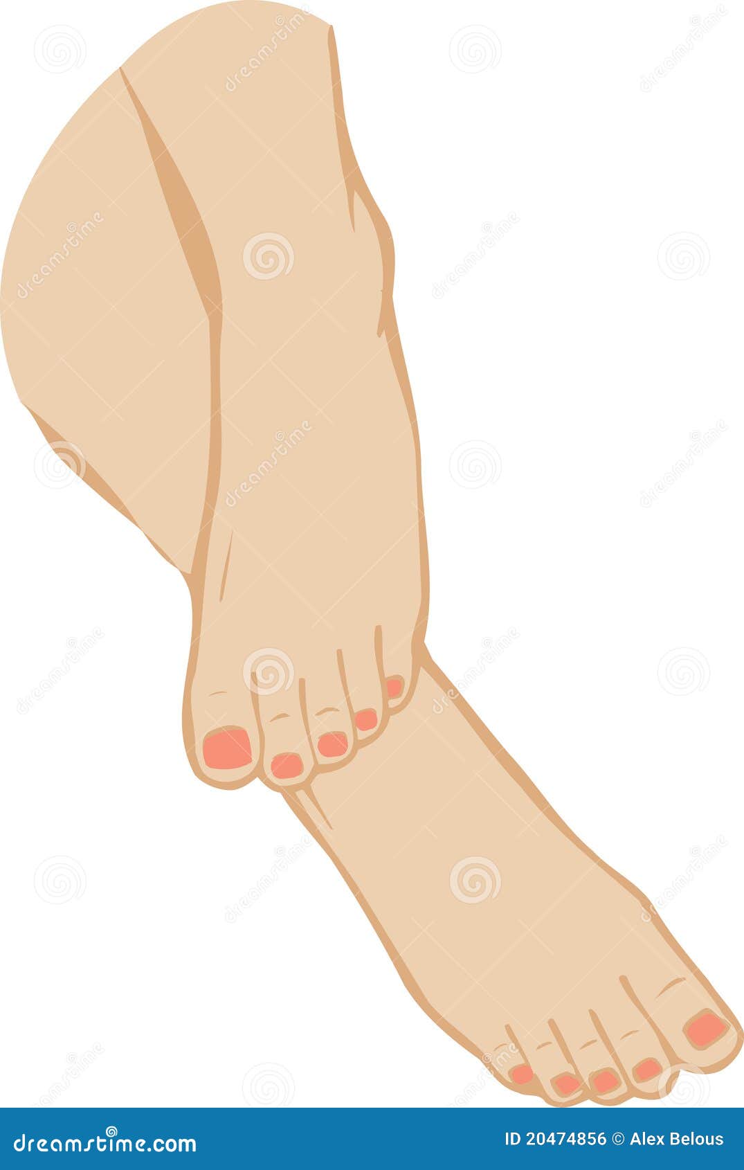 Vector Illustration of a Foot of Feet Stock Vector - Illustration of ...
